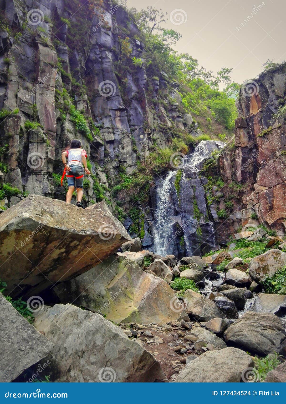 Supit Urang Stock Photos - Free & Royalty-Free Stock Photos from Dreamstime