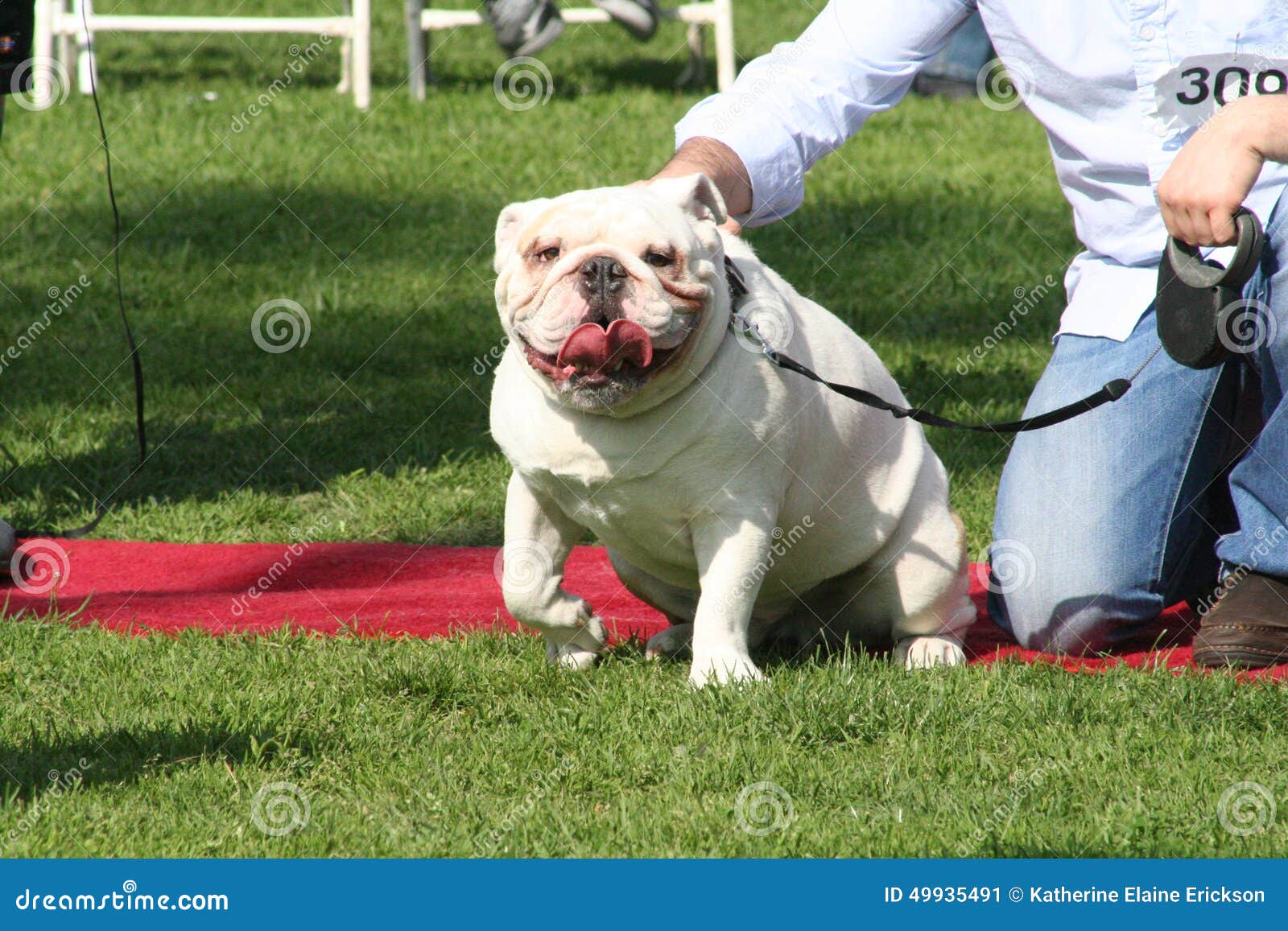 Justin Rudd Haute Dog Contest Photo éditorial - Image du animal ...