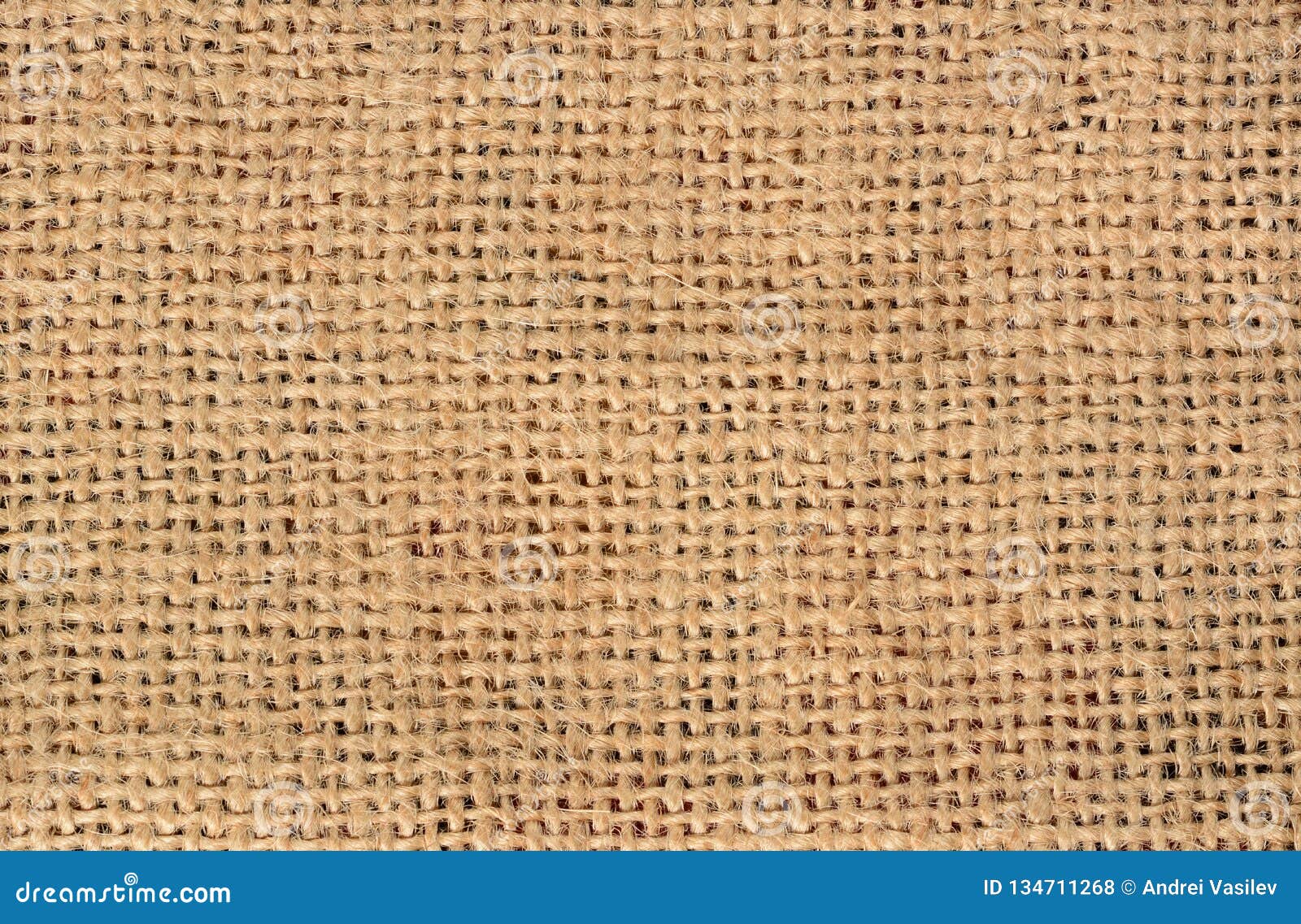 Jute Burlap Canvas Brown Texture. Background for Text and Picture ...