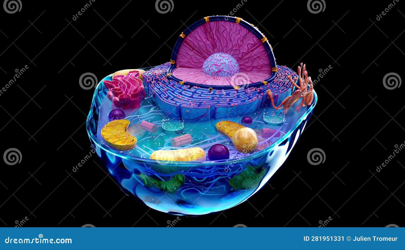 4K Abstract Animation of the Biological Cell Stock Video - Video of ...