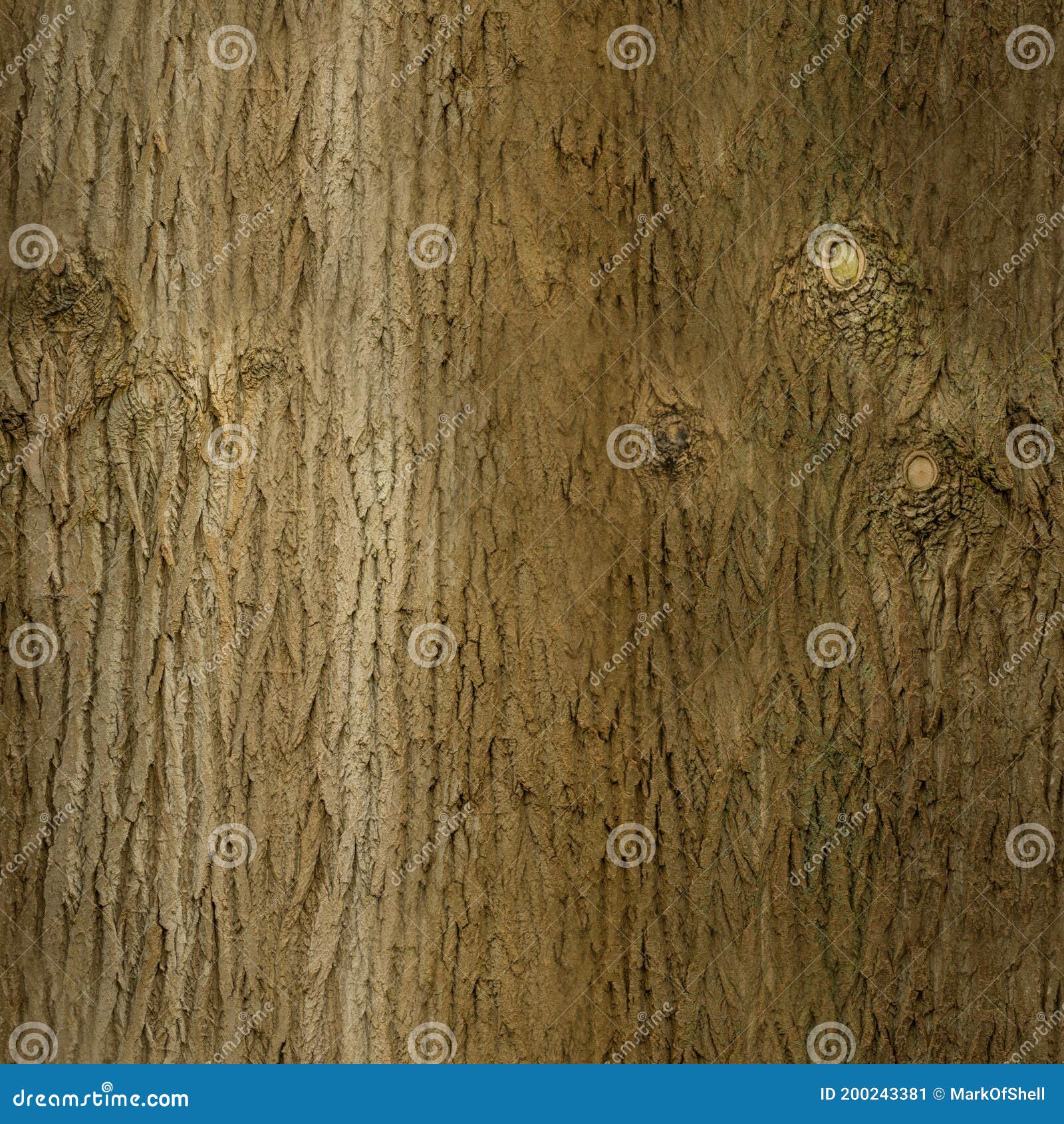 8K Brown Bark Diffuse and Albedo Map for 3d Materials Stock Image ...