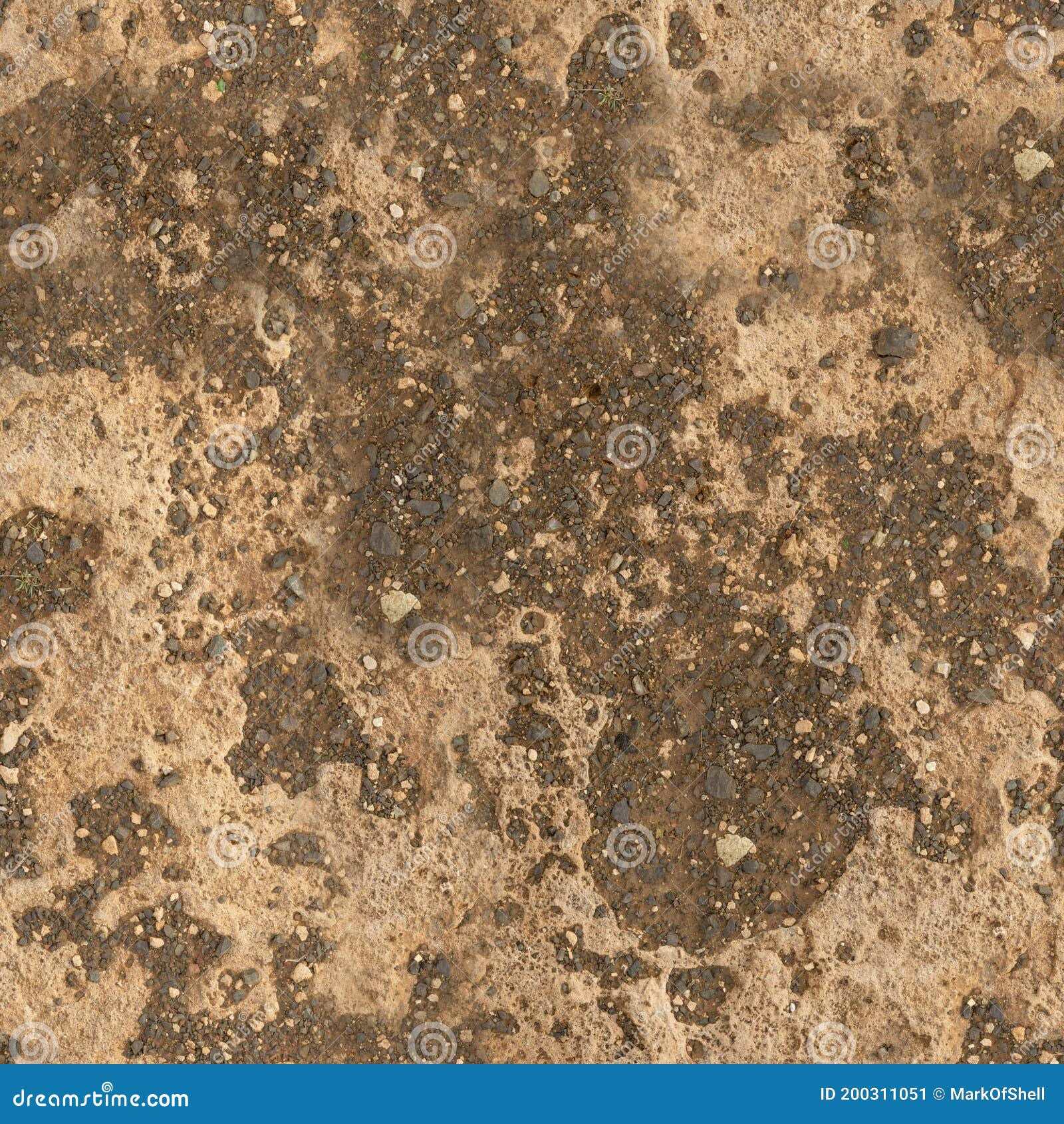 8K Coral Ground Diffuse and Albedo Map for 3d Materials Stock Image ...