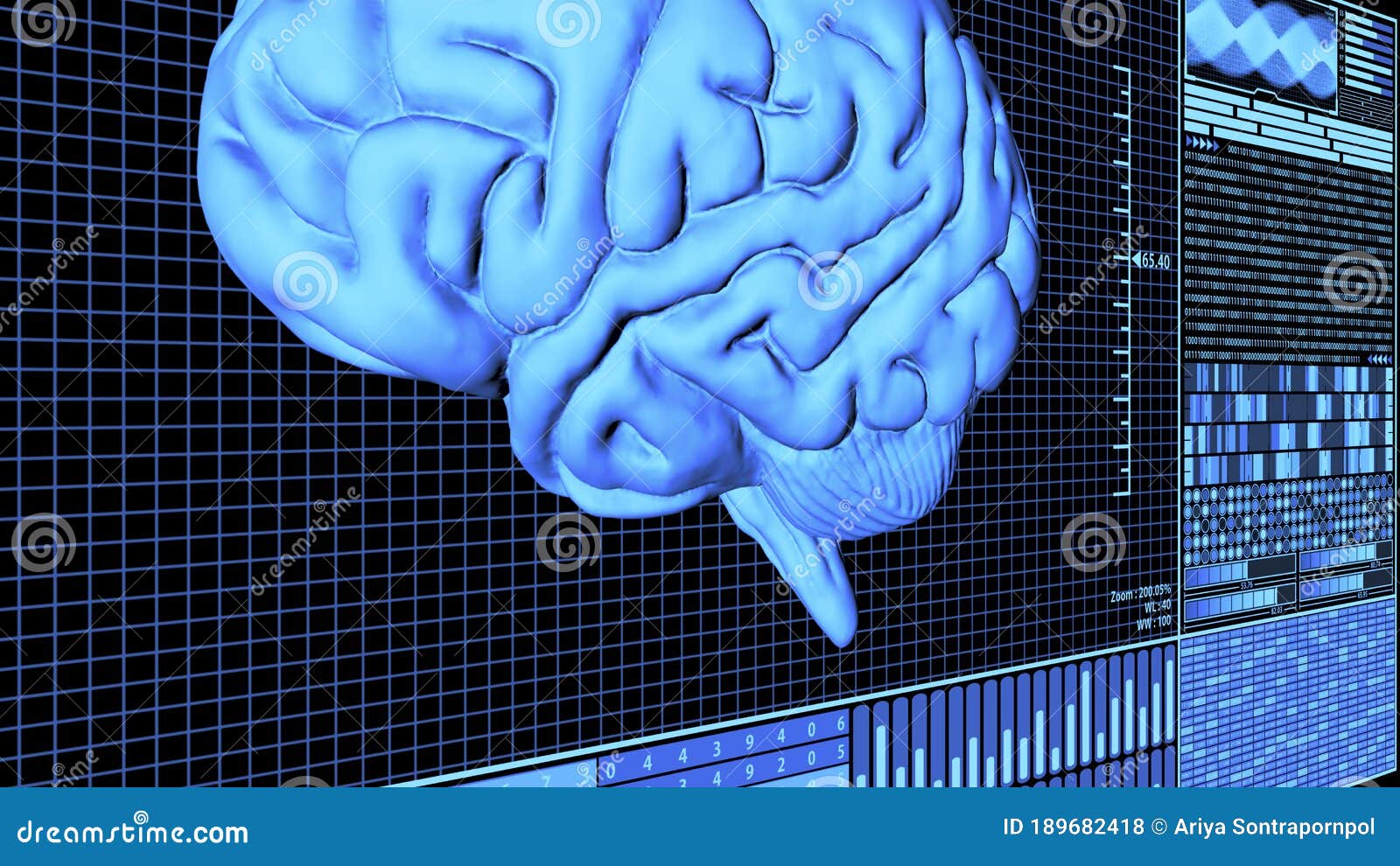 8K 3D Rendered Anatomical Brain Rotating in Brain Analysis Technology HUD Concept Including ...