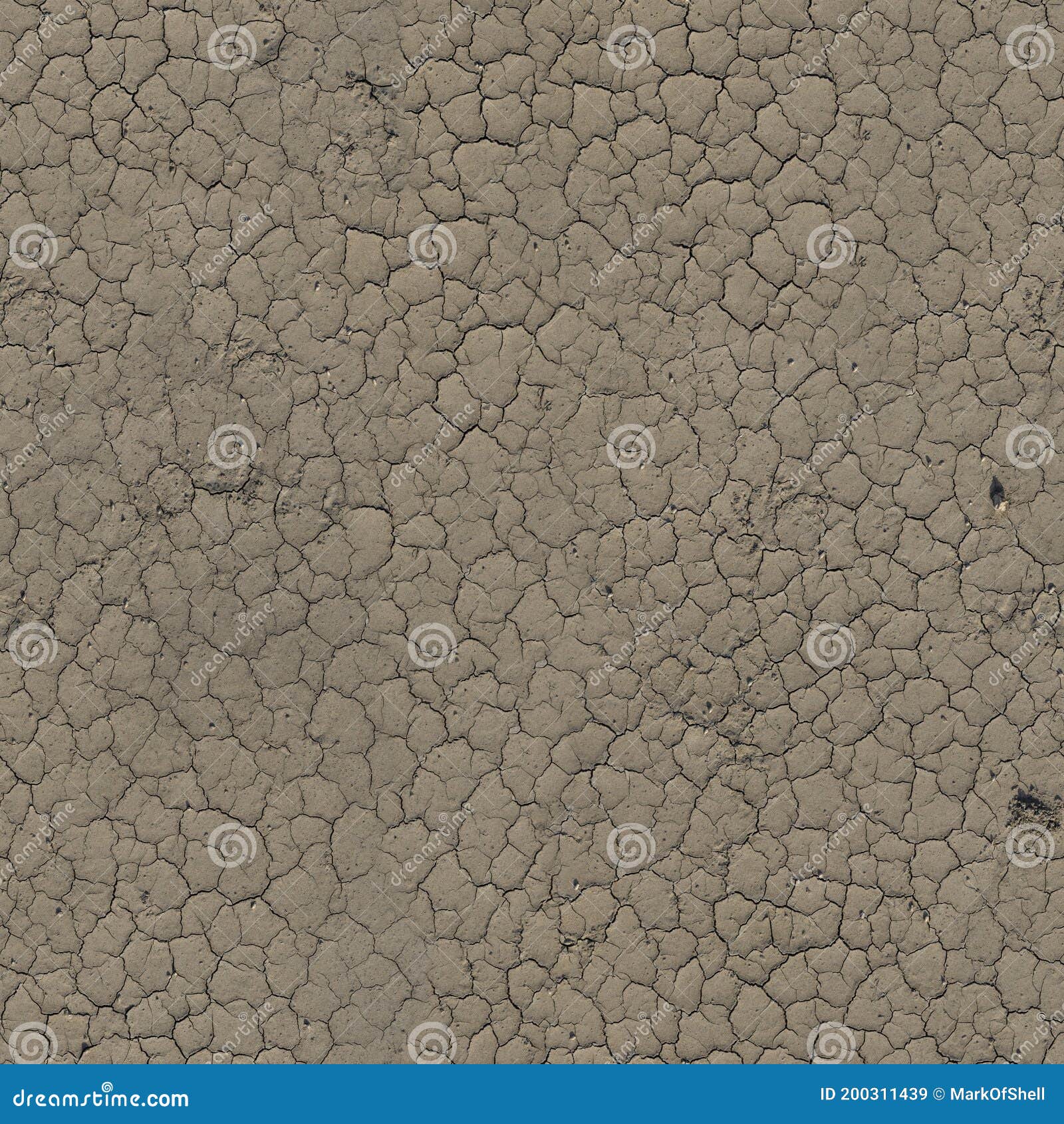 8K Dry Ground Diffuse and Albedo Map for 3d Materials Stock Image ...