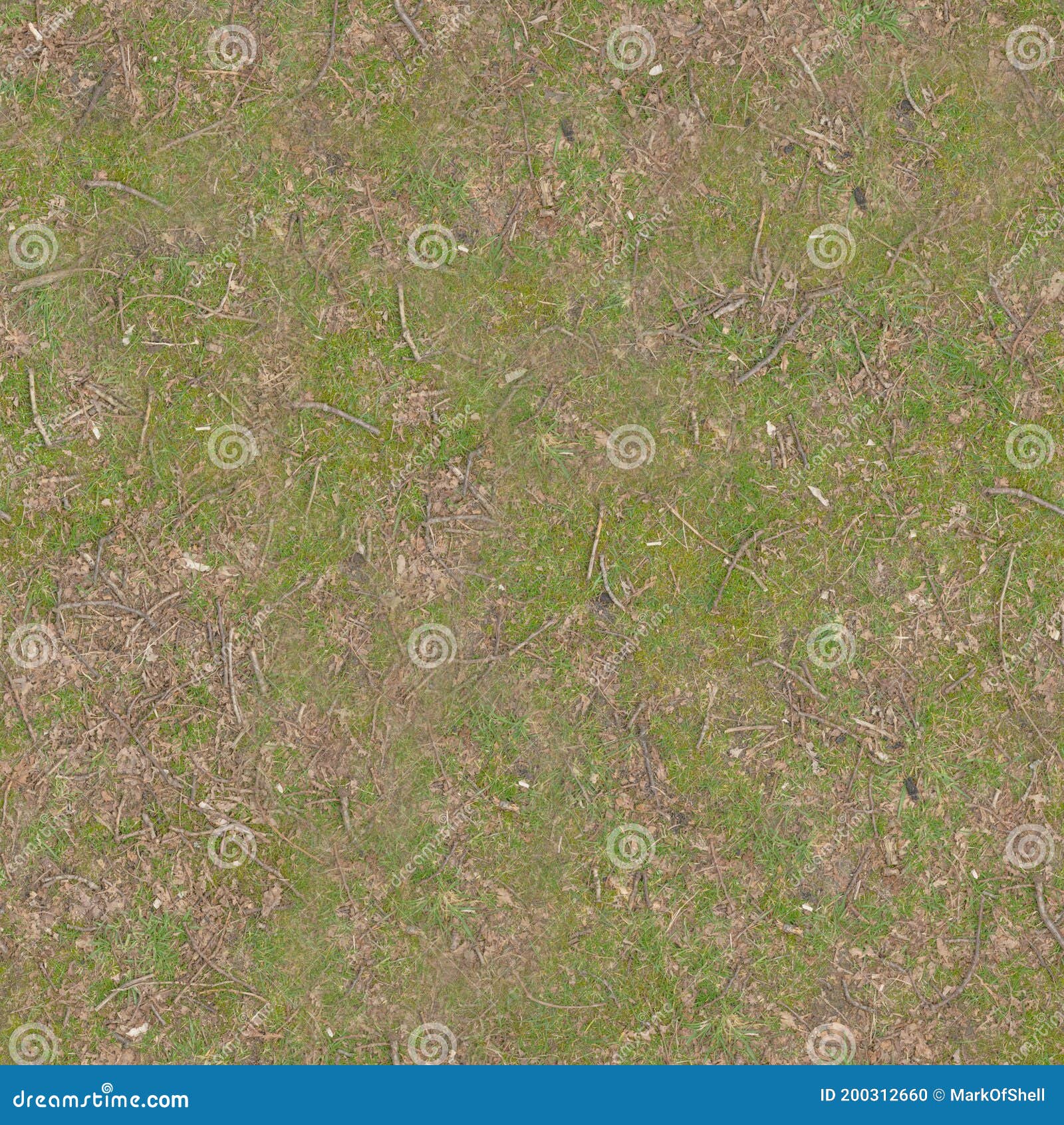 8K Forrest Ground Diffuse and Albedo Map for 3d Materials Stock Photo ...