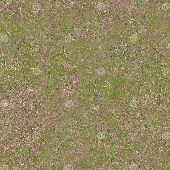 8K Forrest Ground Diffuse and Albedo Map for 3d Materials Stock Photo ...