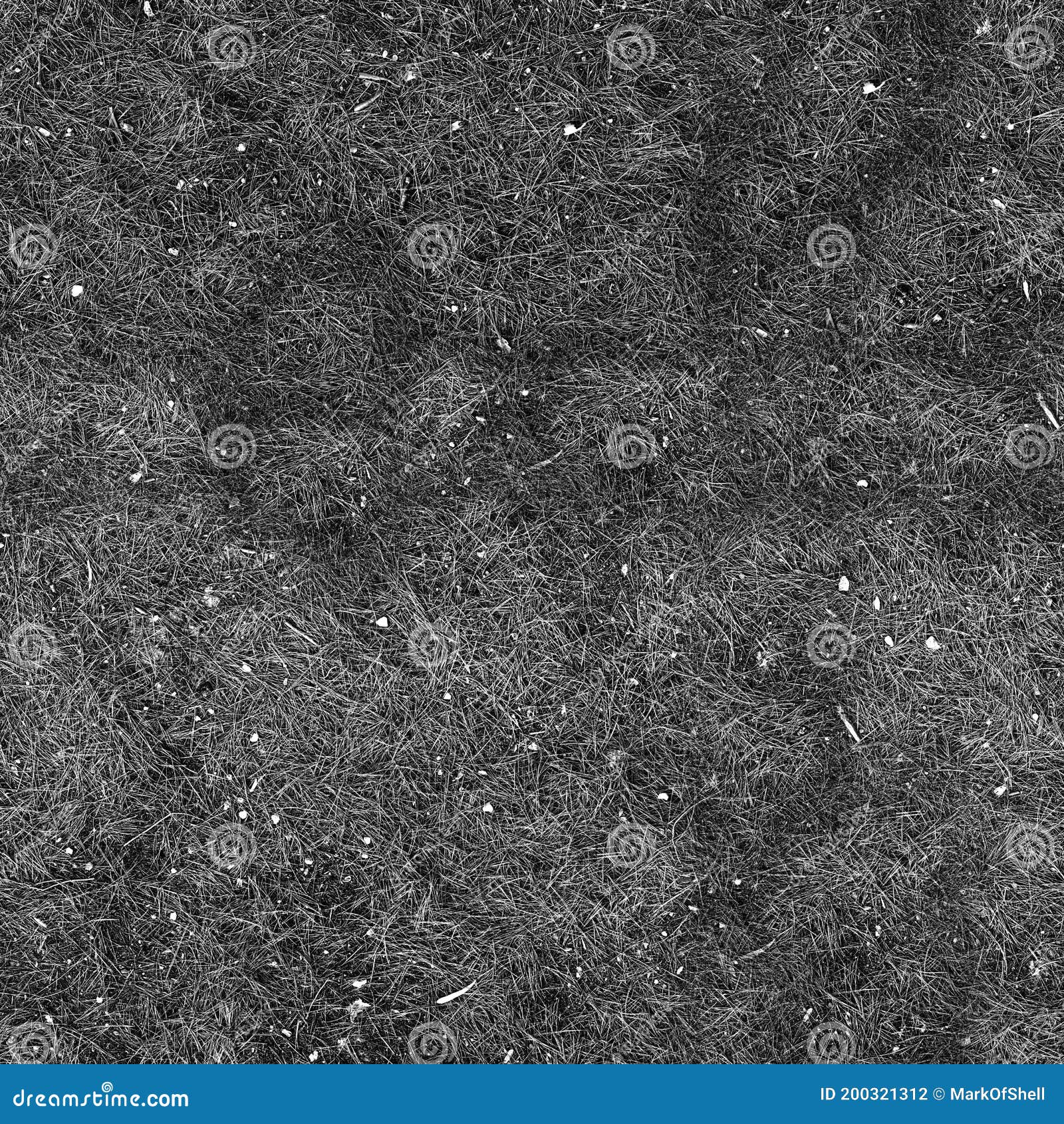 8K Forrest Ground Roughness Texture, Height Map Or Specular For ...