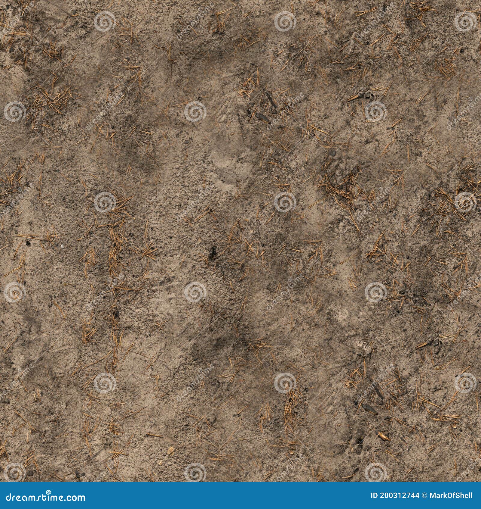 8K Forrest Sand Ground Diffuse and Albedo Map for 3d Materials Stock ...