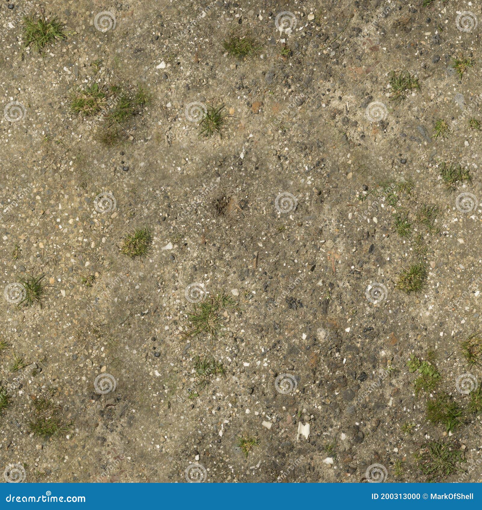 8K Grass Path Diffuse and Albedo Map for 3d Materials Stock Photo ...