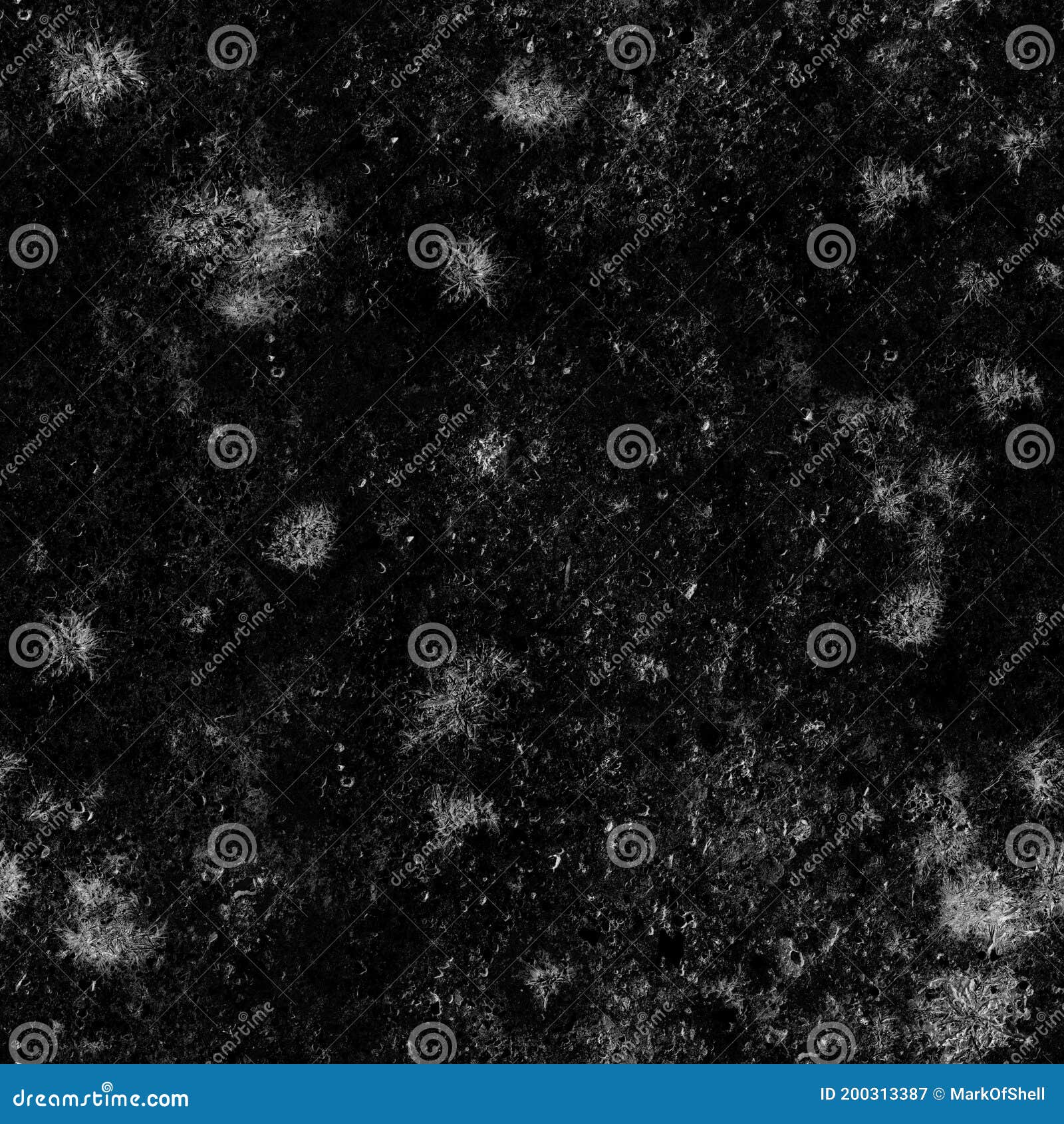 8K Grass Path Roughness Texture, Height Map or Specular for ...