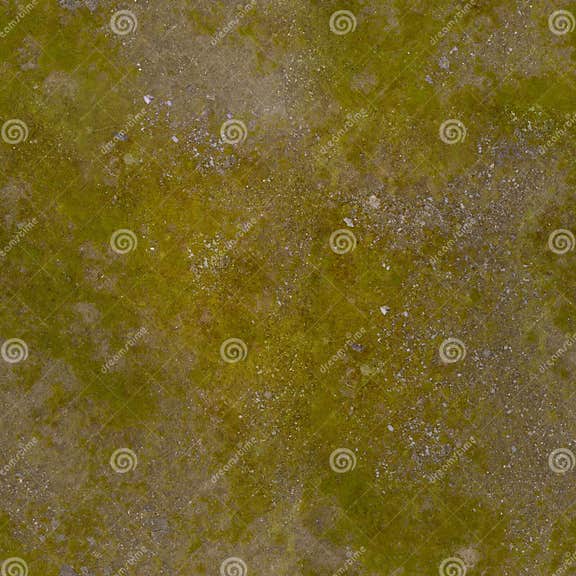 8K Grass Rock Diffuse and Albedo Map for 3d Materials Stock Photo ...