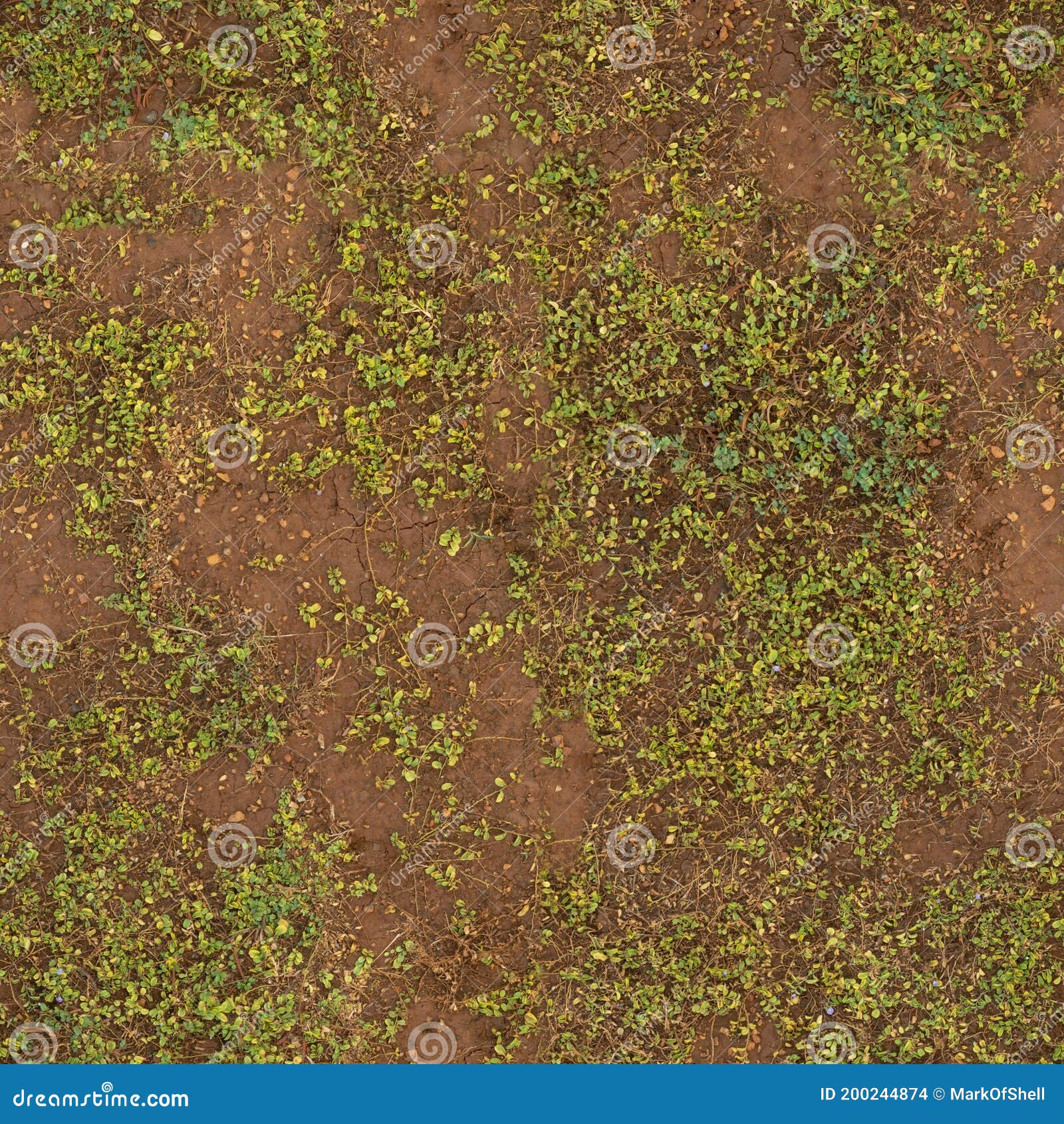 8K Mud Diffuse and Albedo Map for 3d Materials Stock Photo - Image of ...