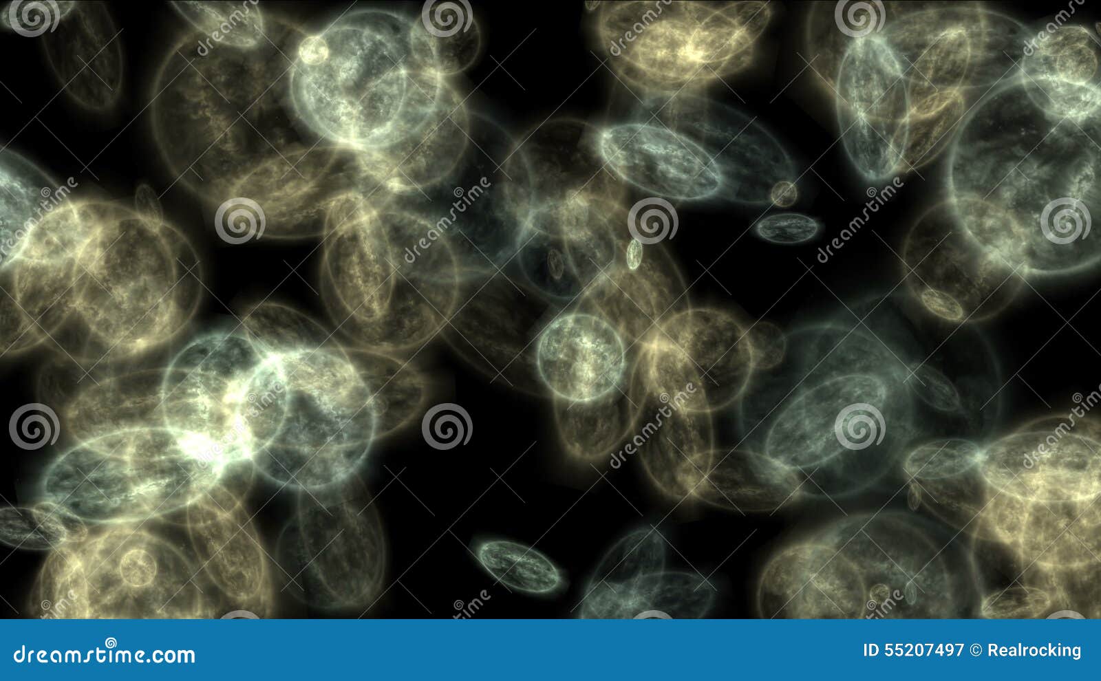 4k Plankton Stock Footage & Videos - 1,074 Stock Videos