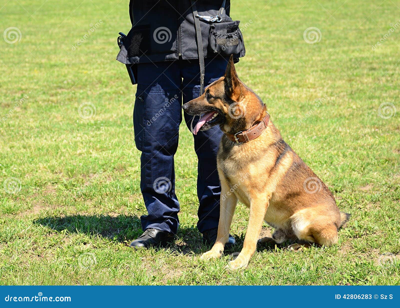 K9 Police Officer with His Dog Stock Image - Image of friend, sense ...
