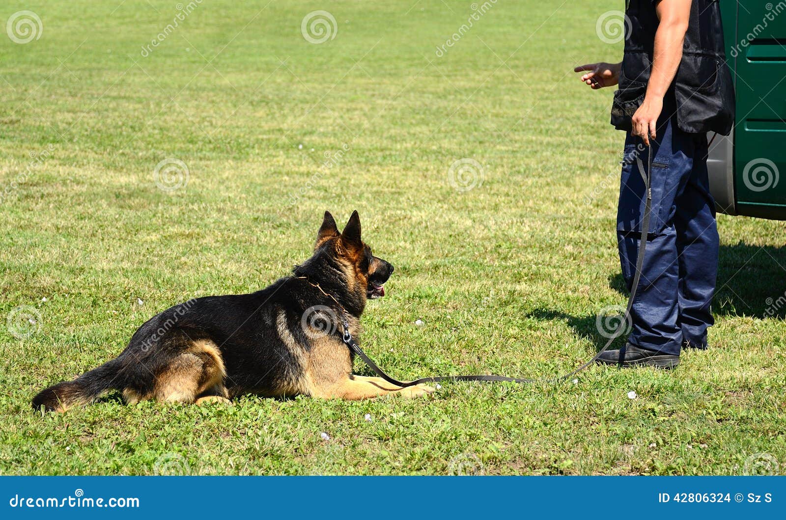 K9 Police Officer with His Dog Stock Photo - Image of trained, educate ...