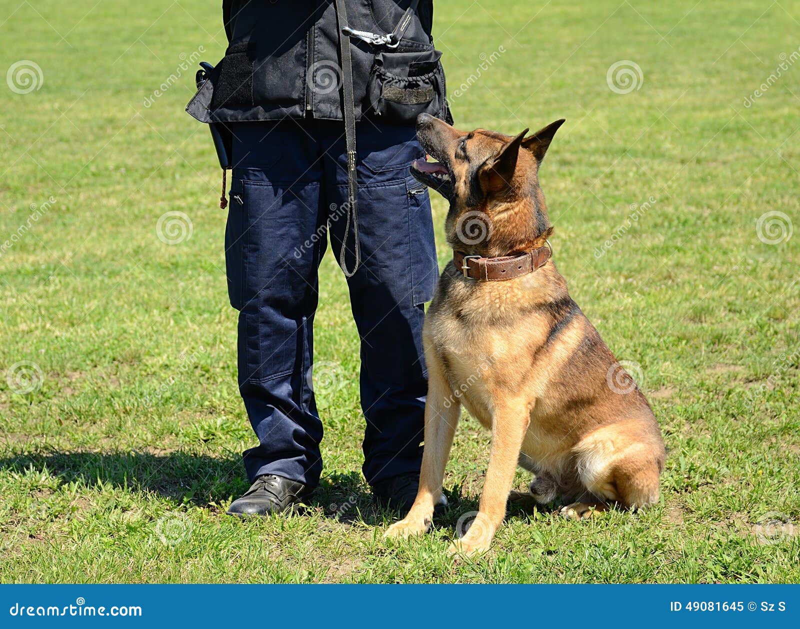K9 Police Officer with His Dog Stock Image - Image of trained, security ...