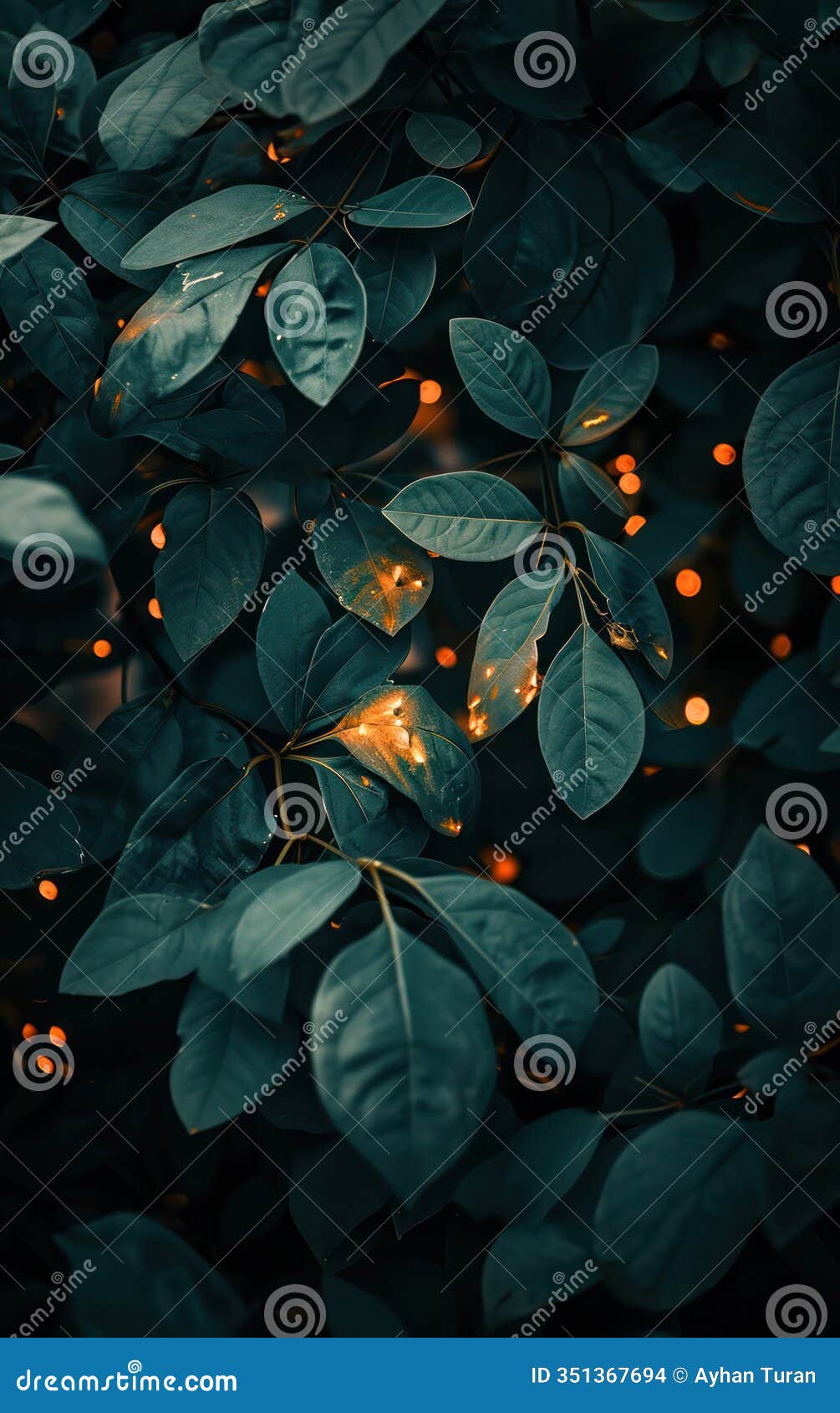 8k Resolution Vertical Nature Wallpaper. Screensaver Background Royalty ...