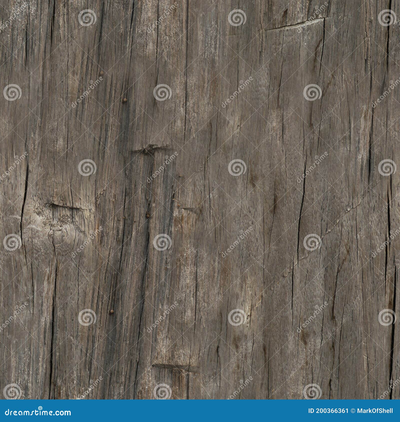 8K Rough Wood Diffuse and Albedo Map for 3d Materials Stock ...