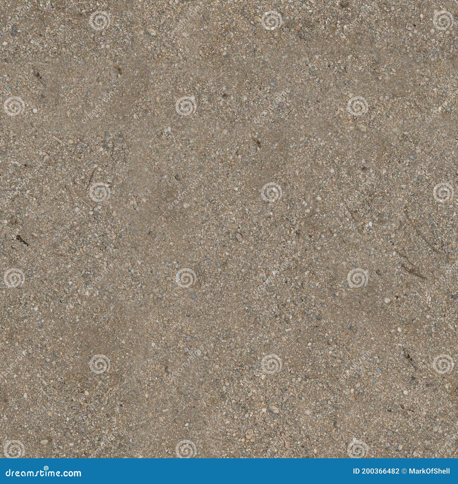 8K Shell Floor Roughness Texture, Height Map Or Specular For ...