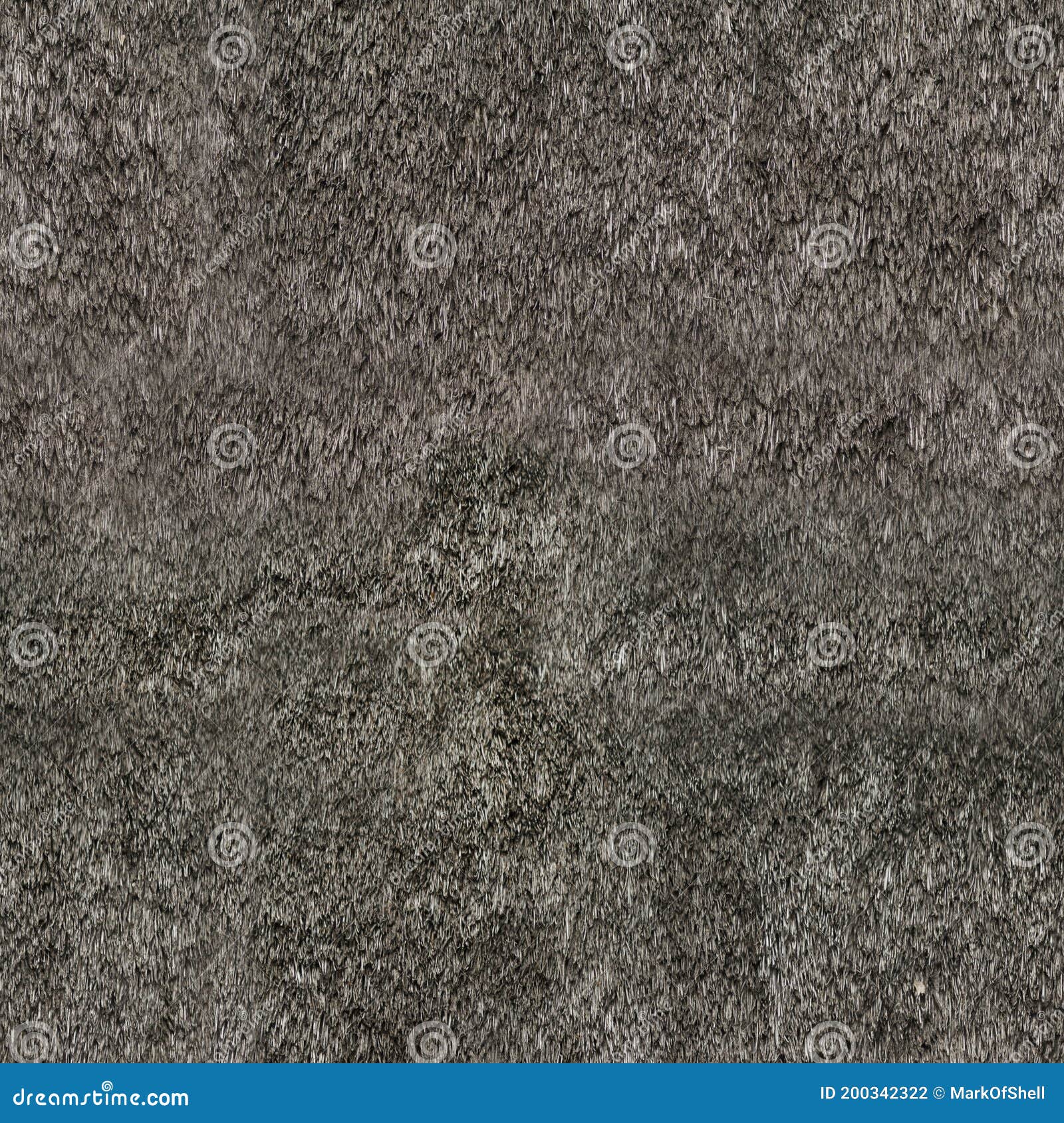 8K Slender Riet Roughness Texture, Height Map Or Specular For ...