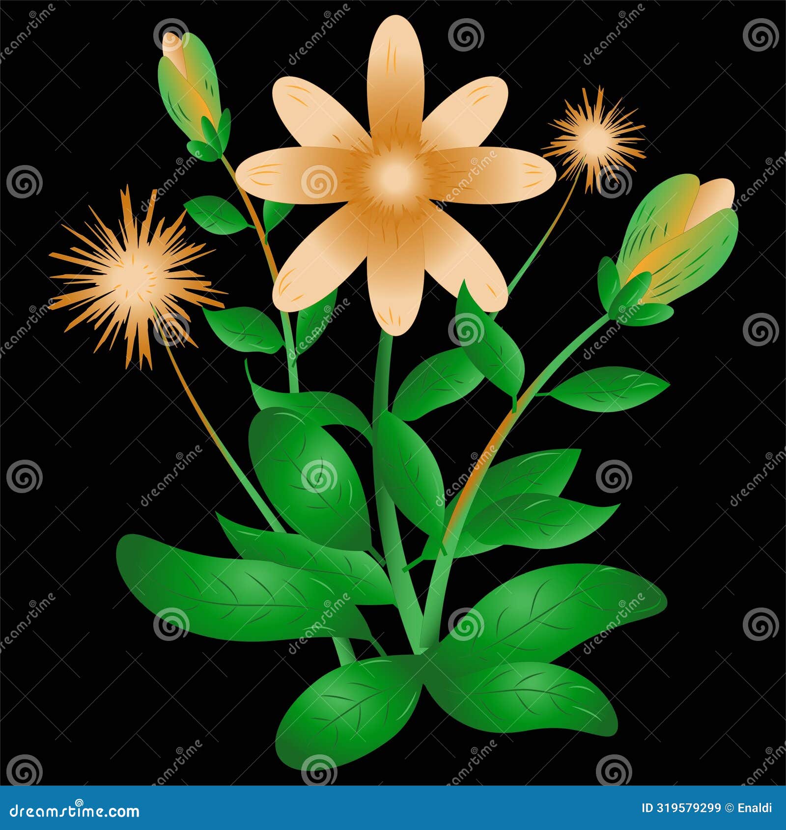 Isolated Flower Decorative Vector Illustration Stock Vector ...