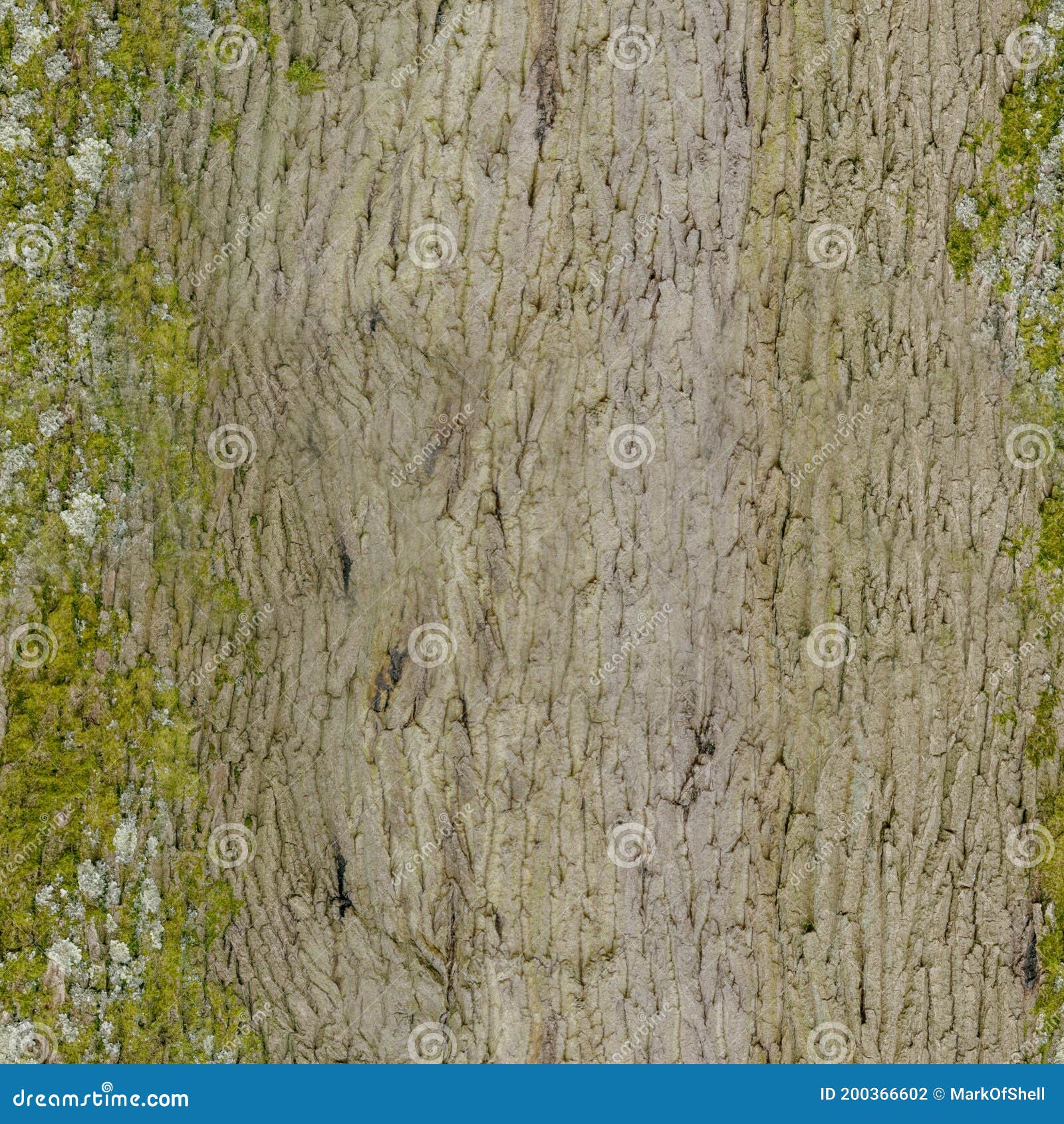 8K Tree Bark Diffuse and Albedo Map for 3d Materials Stock Illustration ...