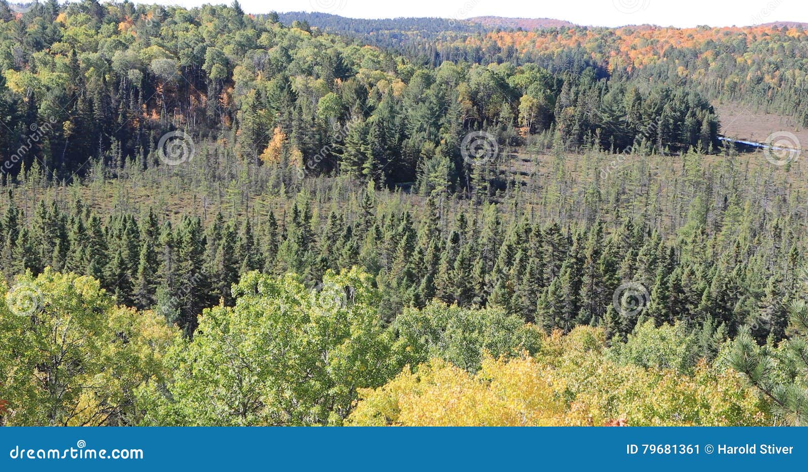 4K UltraHD Algonquin Forest Overlook in Fall Stock Video - Video of ...