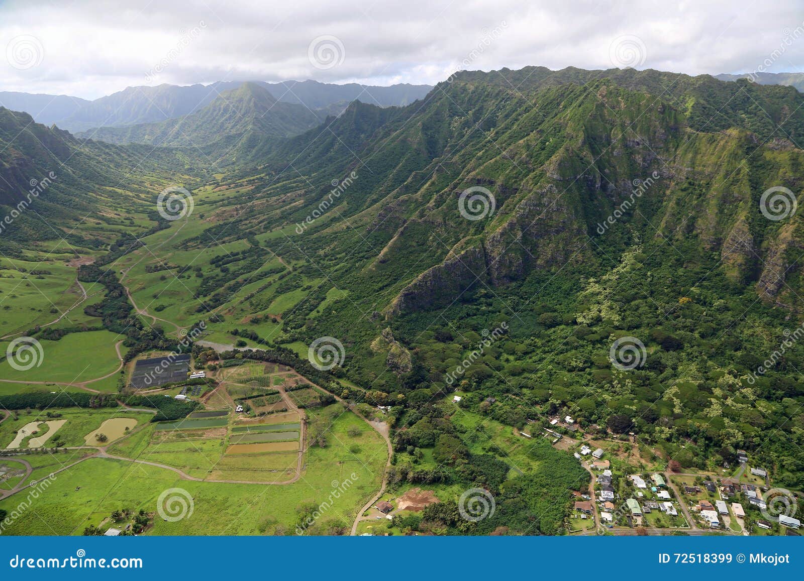 Kaaawa Valley stock image. Image of birds, relax, kaaawa - 72518399