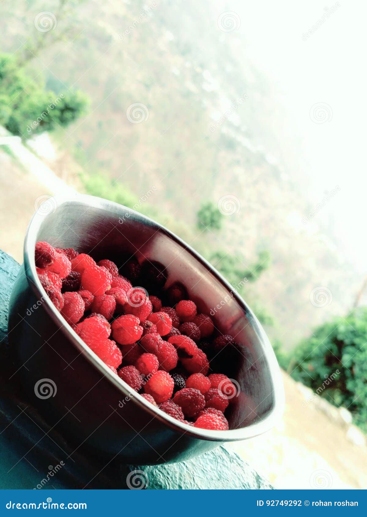 KaaFal stock photo. Image of tasty, fruit, kaafal, famous - 92749292
