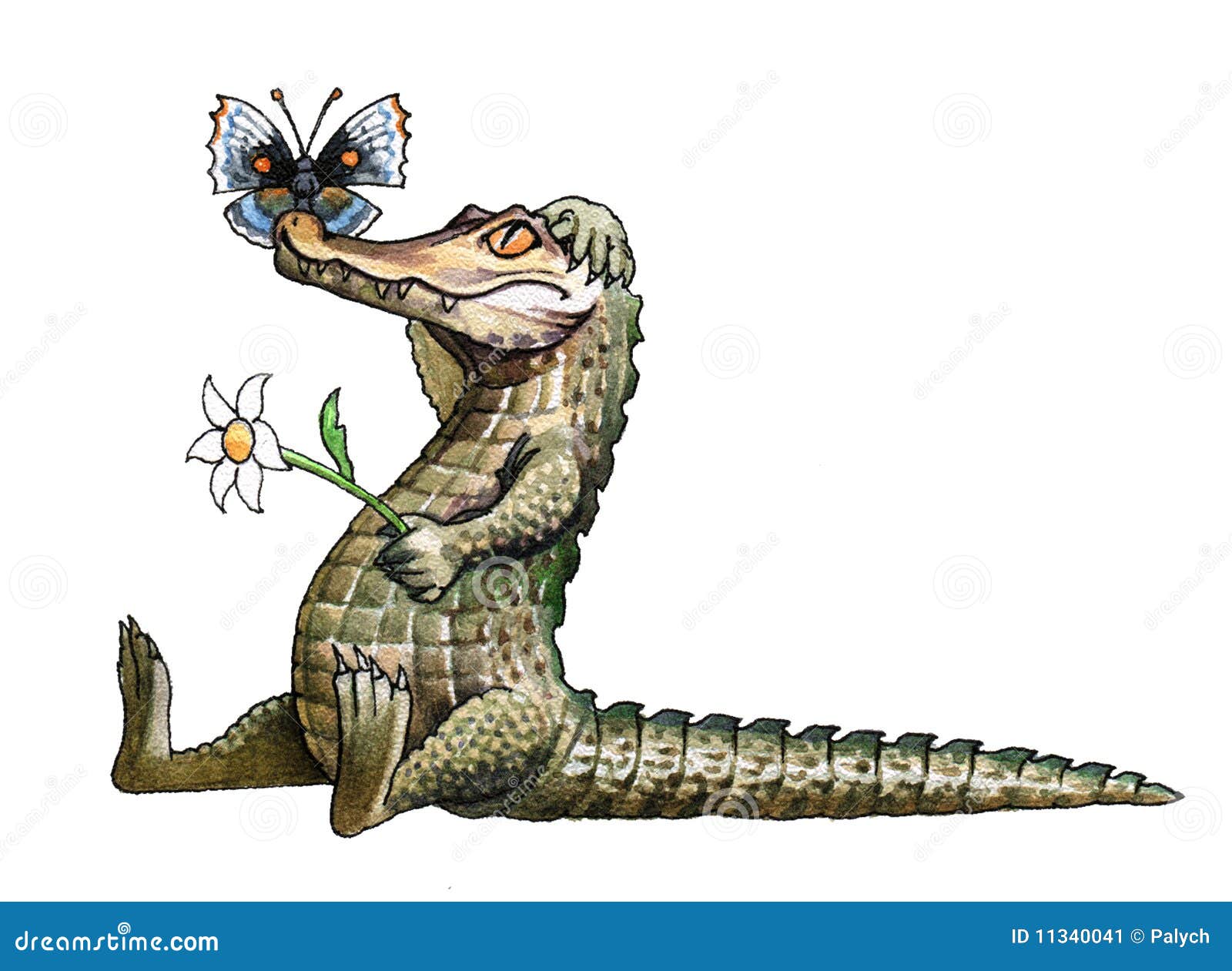 Kaaiman stock illustratie. Illustration of afrika, zomer - 11340041