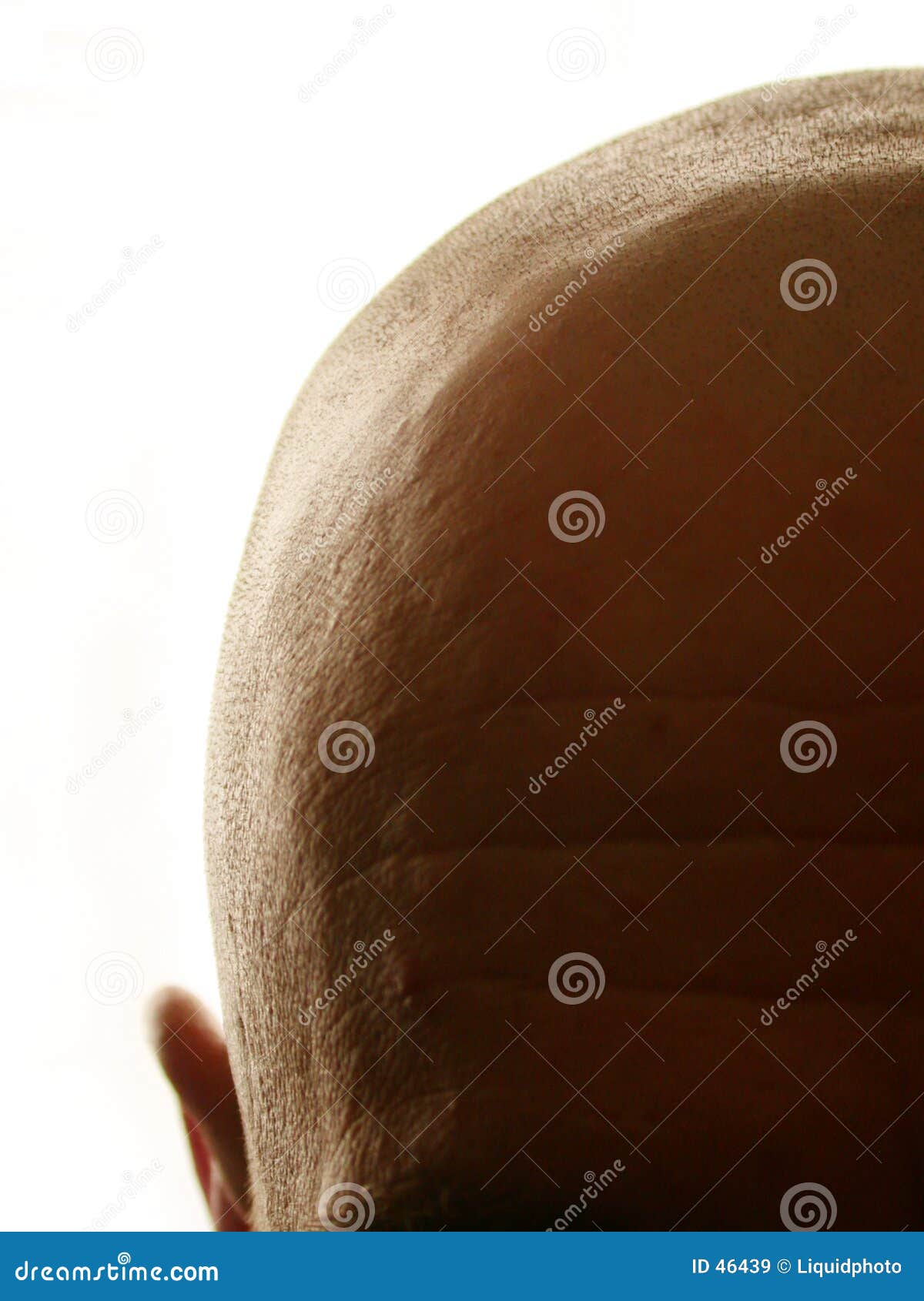 Kaal Hoofd stock afbeelding. Image of tekst, gedachte, hersenen - 46439