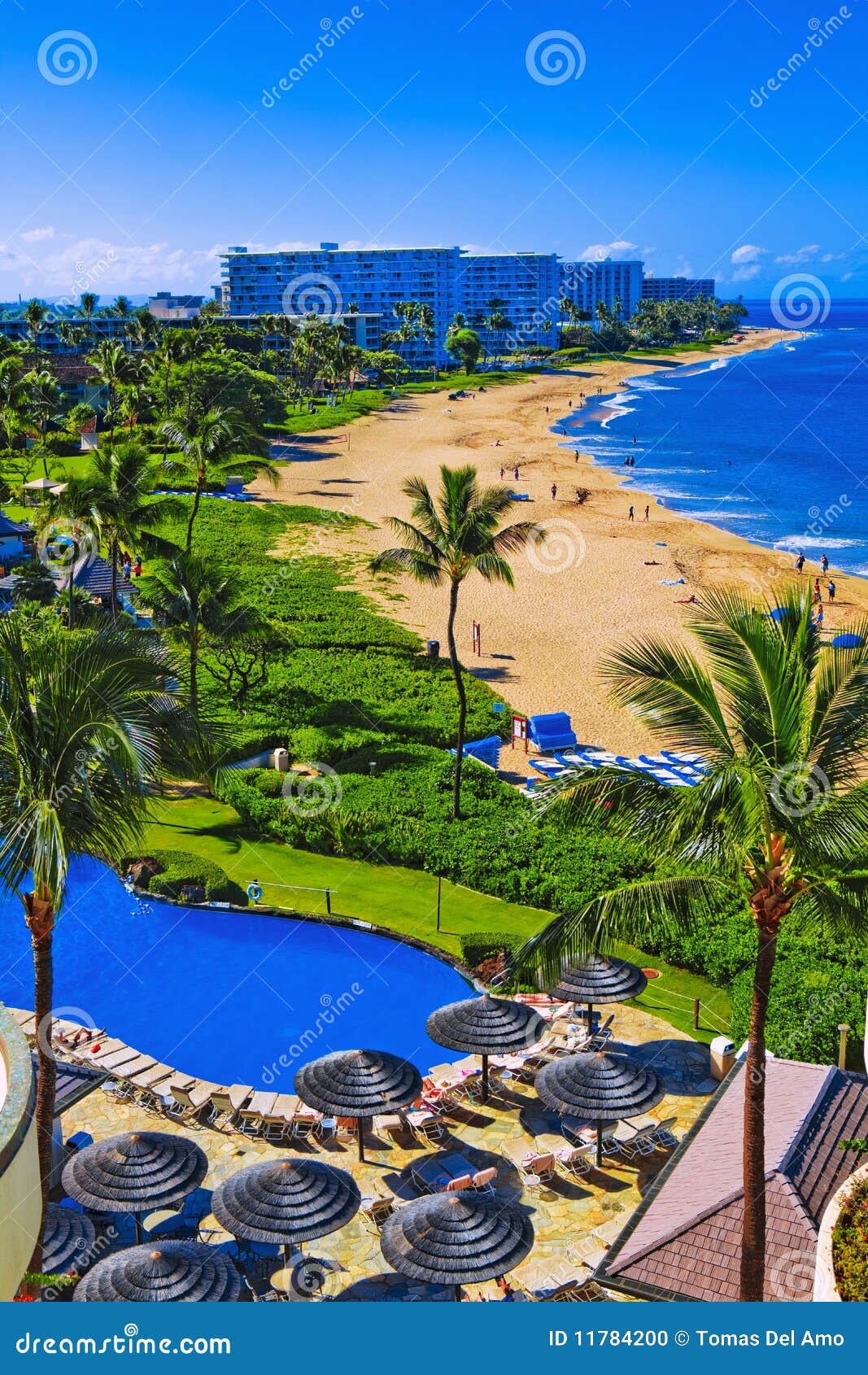 Kaanapali beach, maui stock photo. Image of hawaii, pacific - 11784200