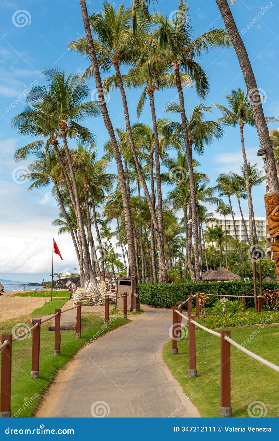 Kaanapali Beach Pathway Lined with Palm Trees in Maui, Hawaii Stock ...