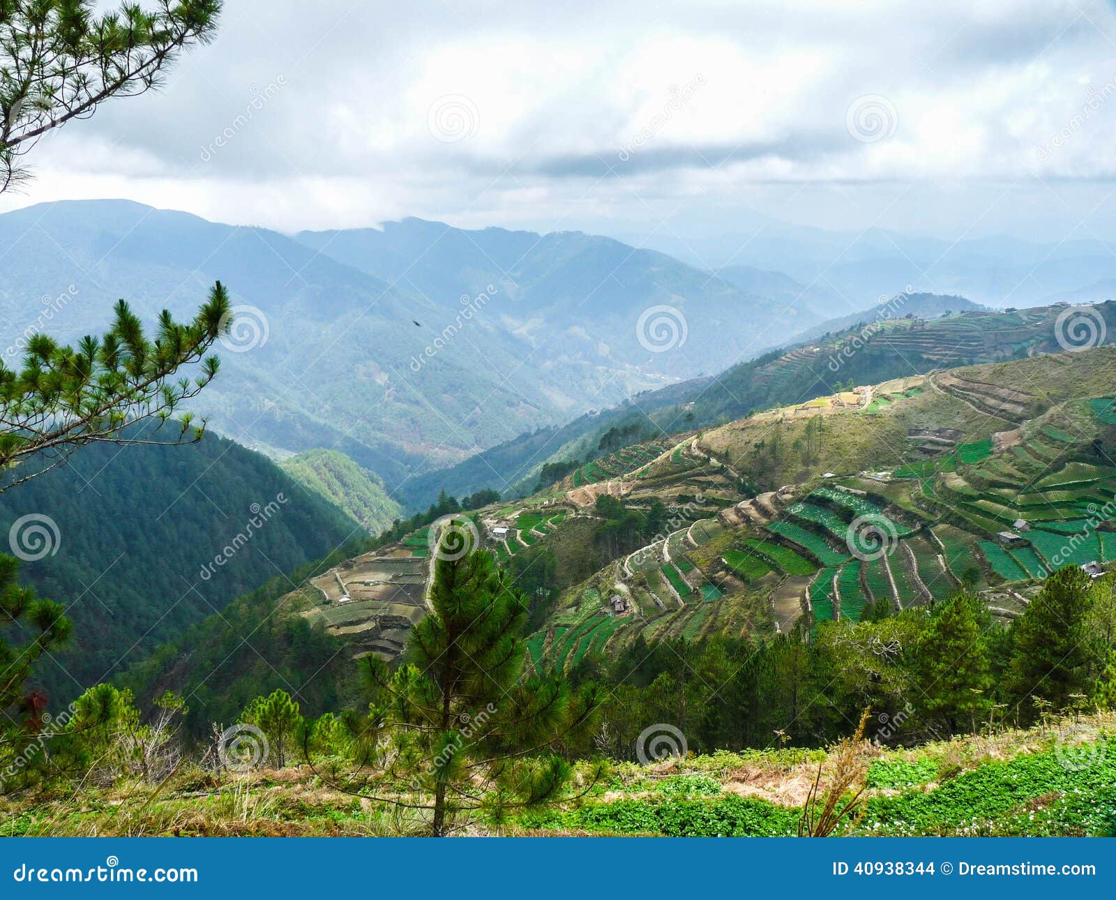 Kabayan Benguet stock photo. Image of mountain, pulag - 40938344