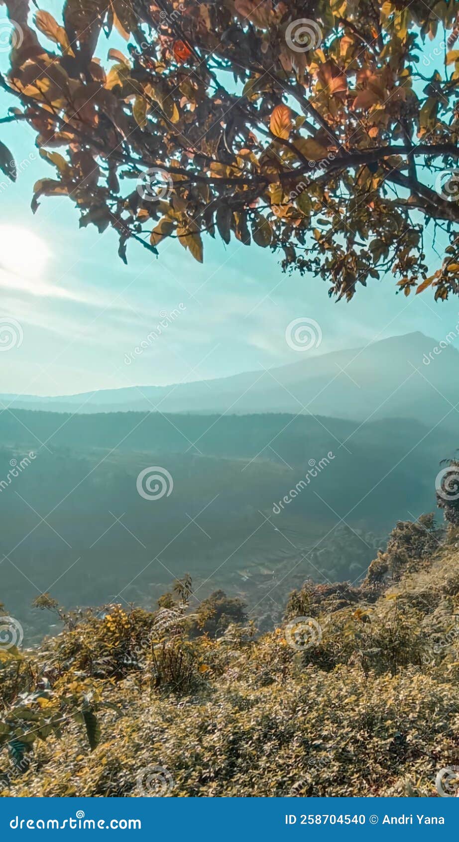 Kabayan Hill, Bogor Round Mountain, West Java Stock Photo - Image of ...