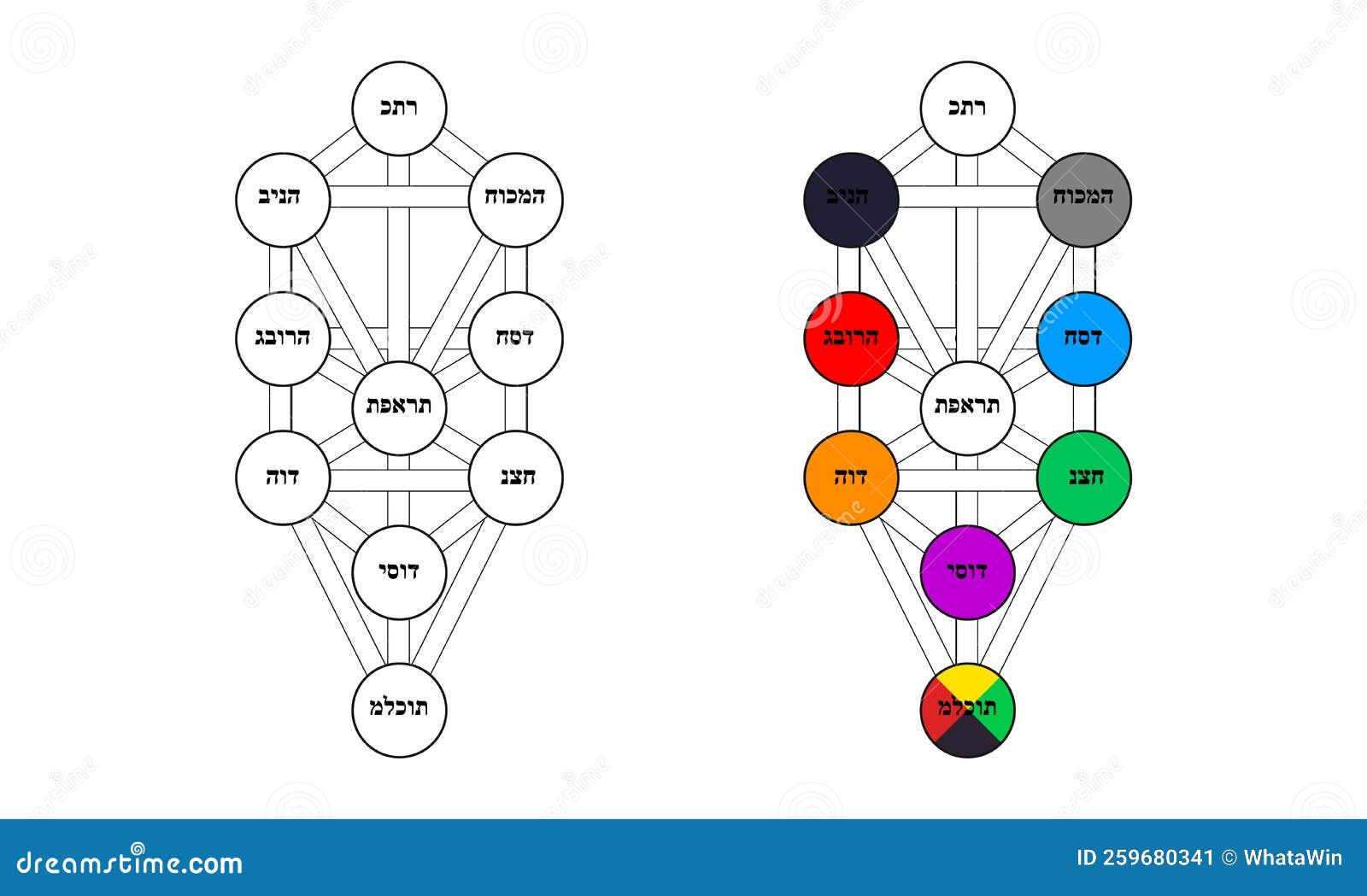 Kabbalah, Sephiroth, Tree Of Life Vector Isolated On White Background ...