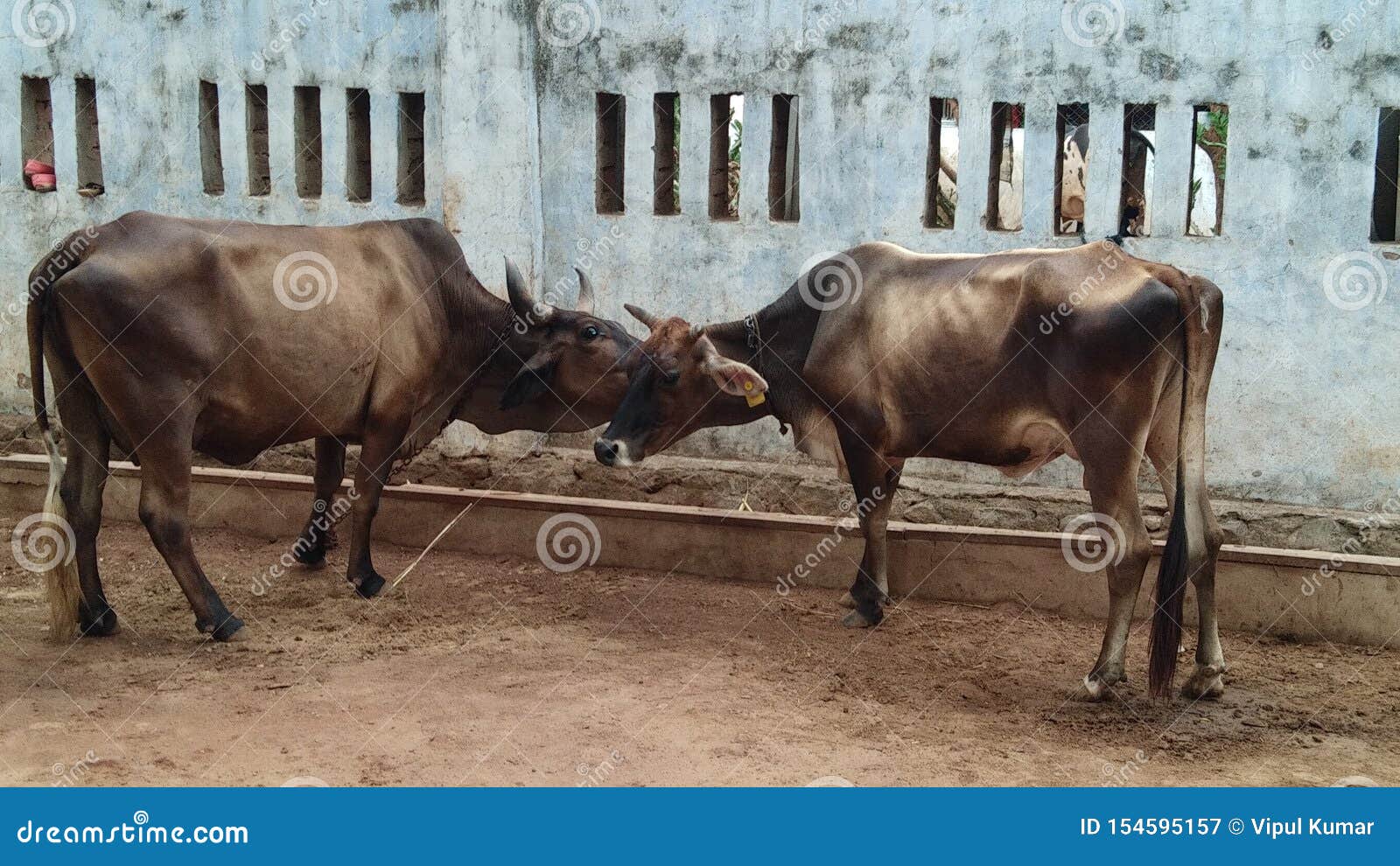 Kaber Name Stock Photos - Free & Royalty-Free Stock Photos from Dreamstime