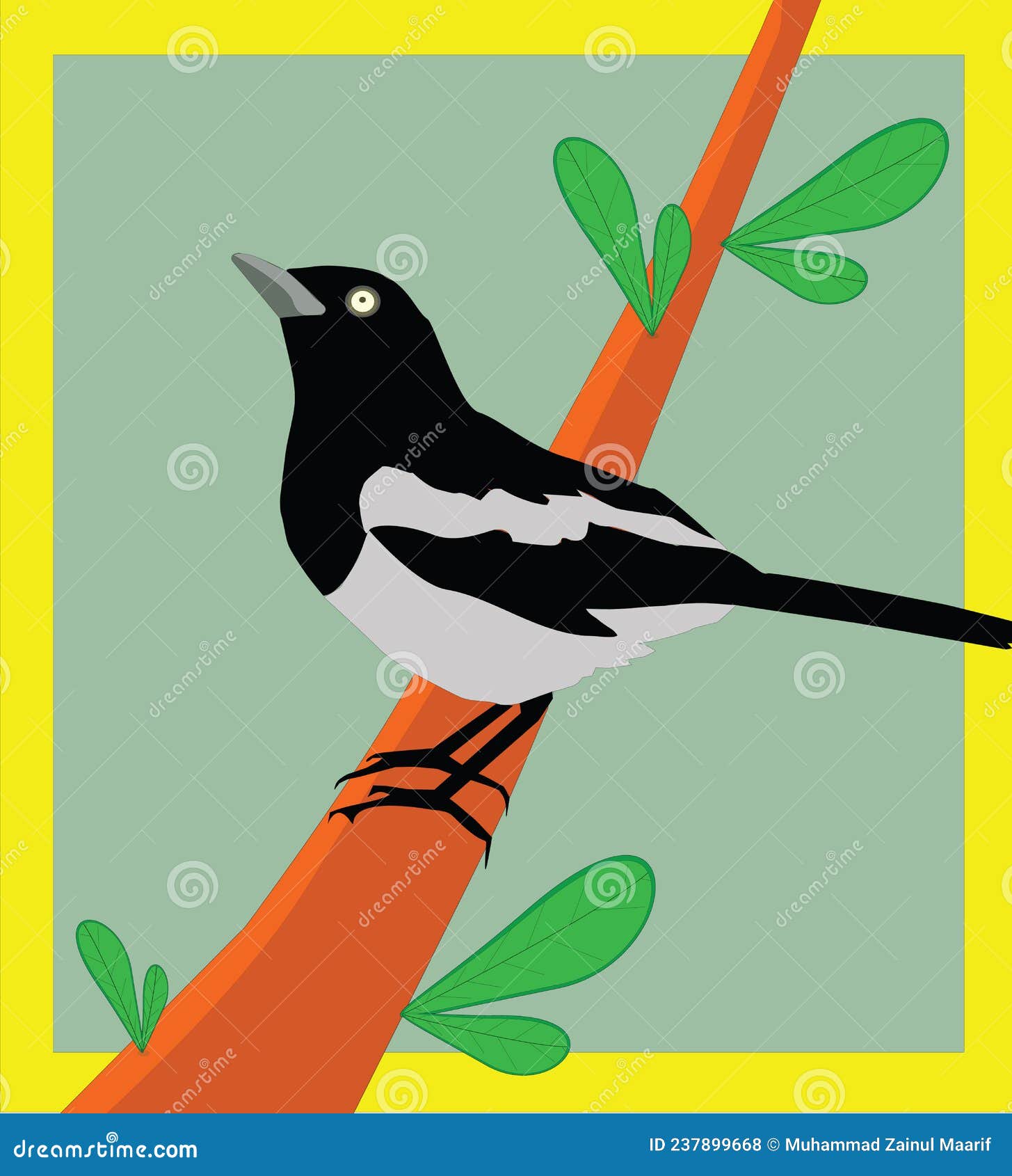 Kacer Bird Beautifull Indonesia Ilustrator Stock Illustration ...