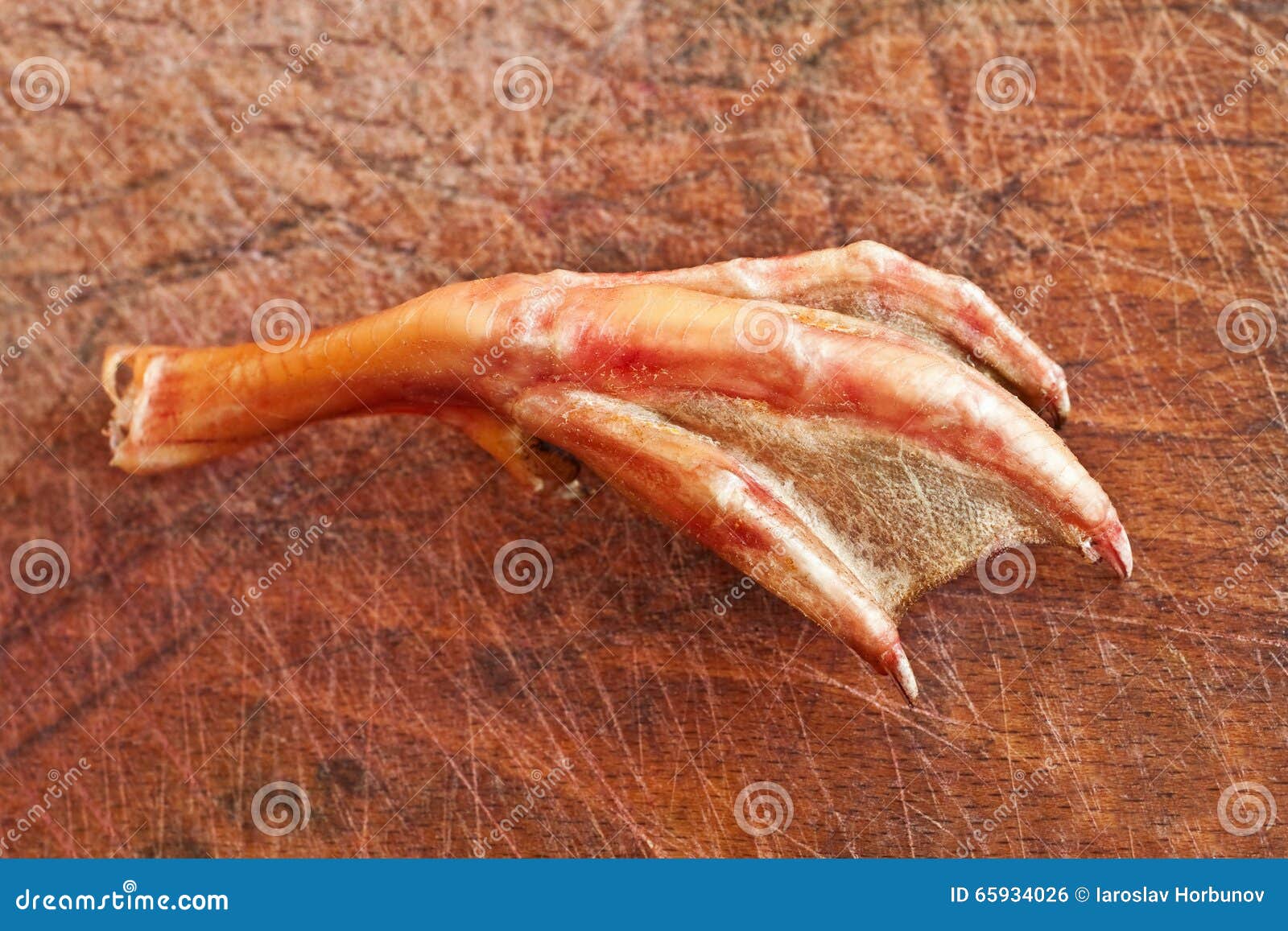 Kaczki stopa zdjęcie stock. Obraz złożonej z magia, gospodarstwo - 65934026