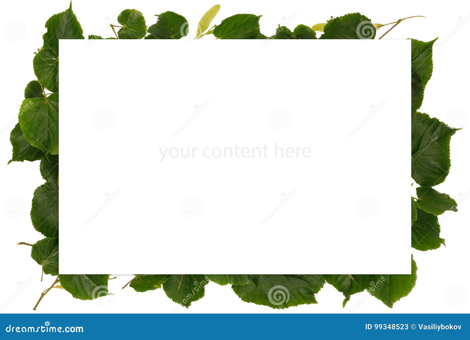 Kader Met De Lente Met Linde-boom Bladeren Stock Afbeelding - Image of ...