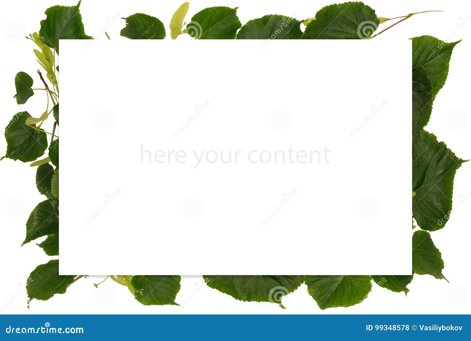 Boombladeren Identificatie