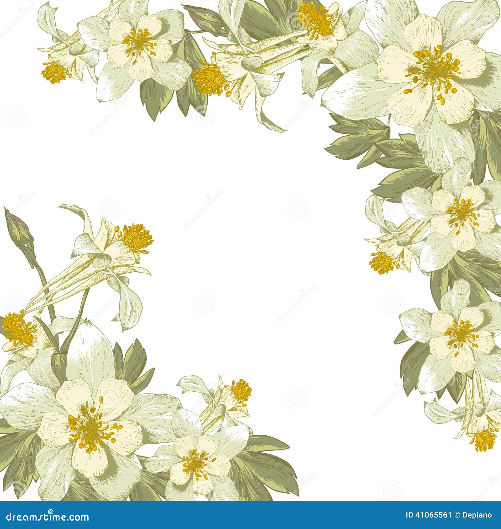 Kader Met Witte Bloeiende Bloemen Vector Illustratie - Illustration of ...