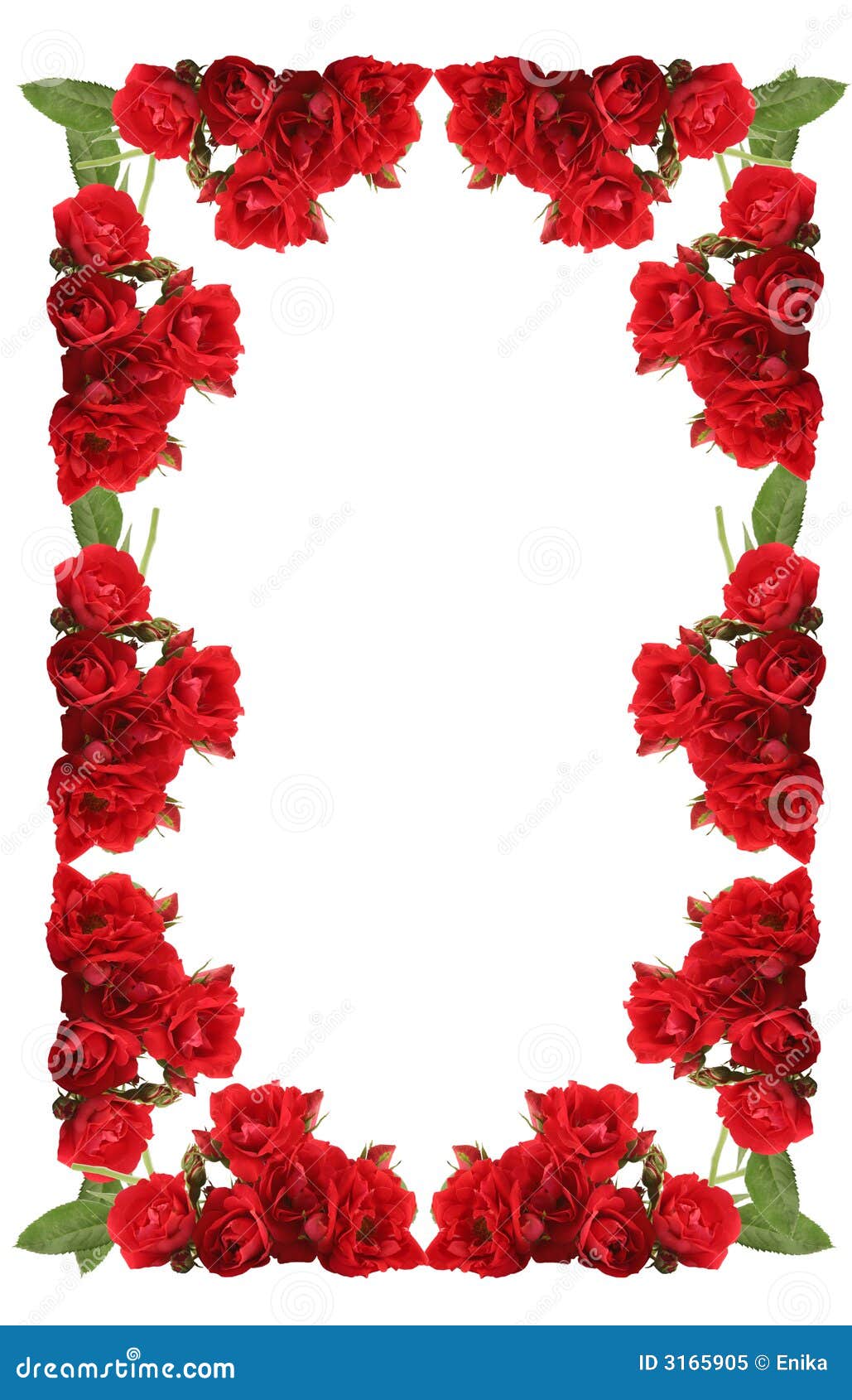 Kader van rozen stock afbeelding. Image of kleurrijk, begrip - 3165905