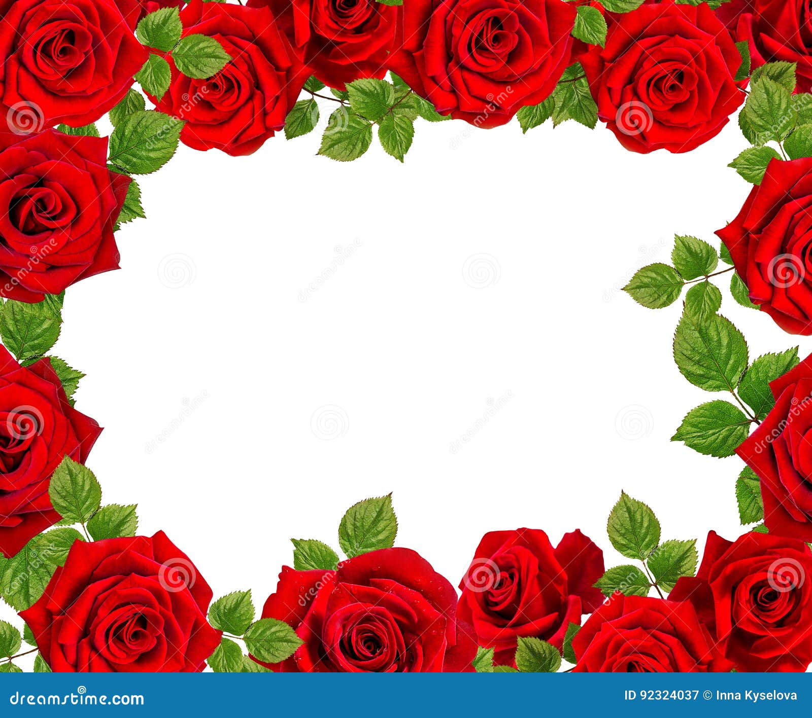 Kader Van Rozen Rode Rozen Op Een Witte Achtergrond Stock Afbeelding ...