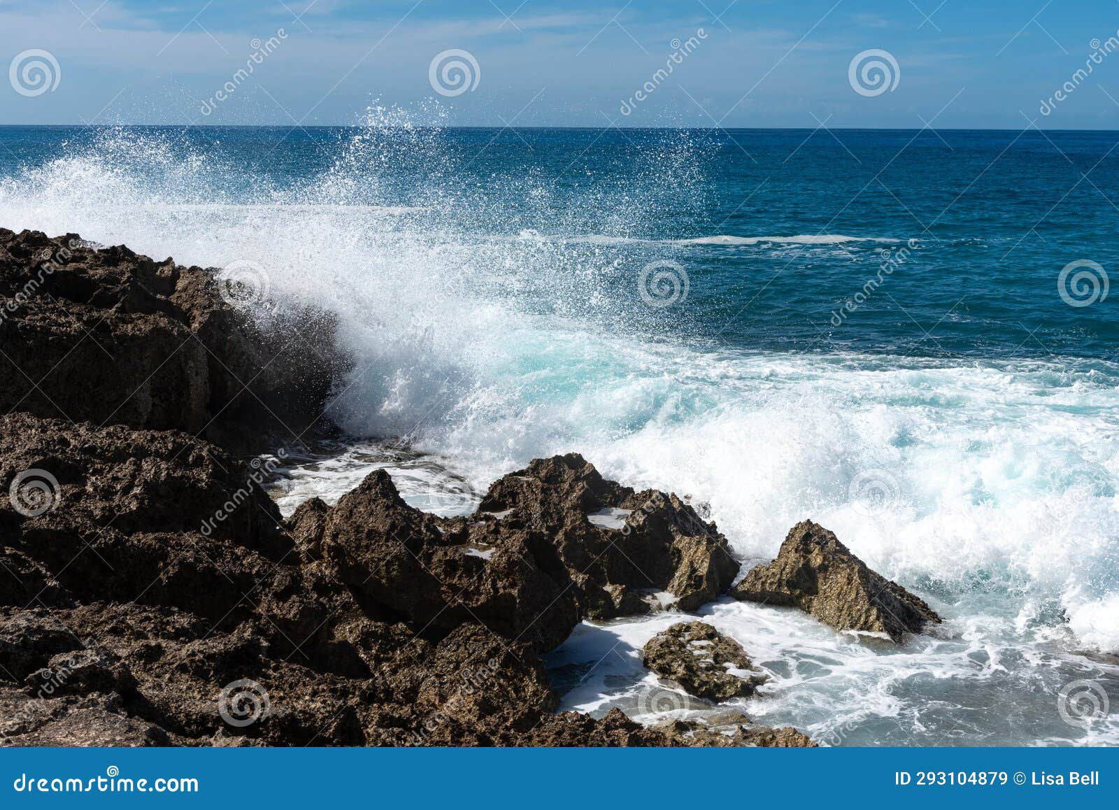 Crash on the Coral stock image. Image of waves, crashes - 293104879