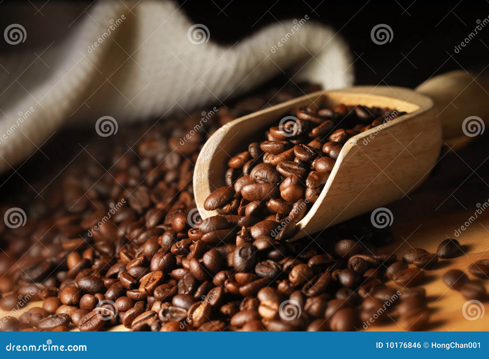 Kaffeebohne stockfoto. Bild von nahaufnahme, ernte, java - 10176846