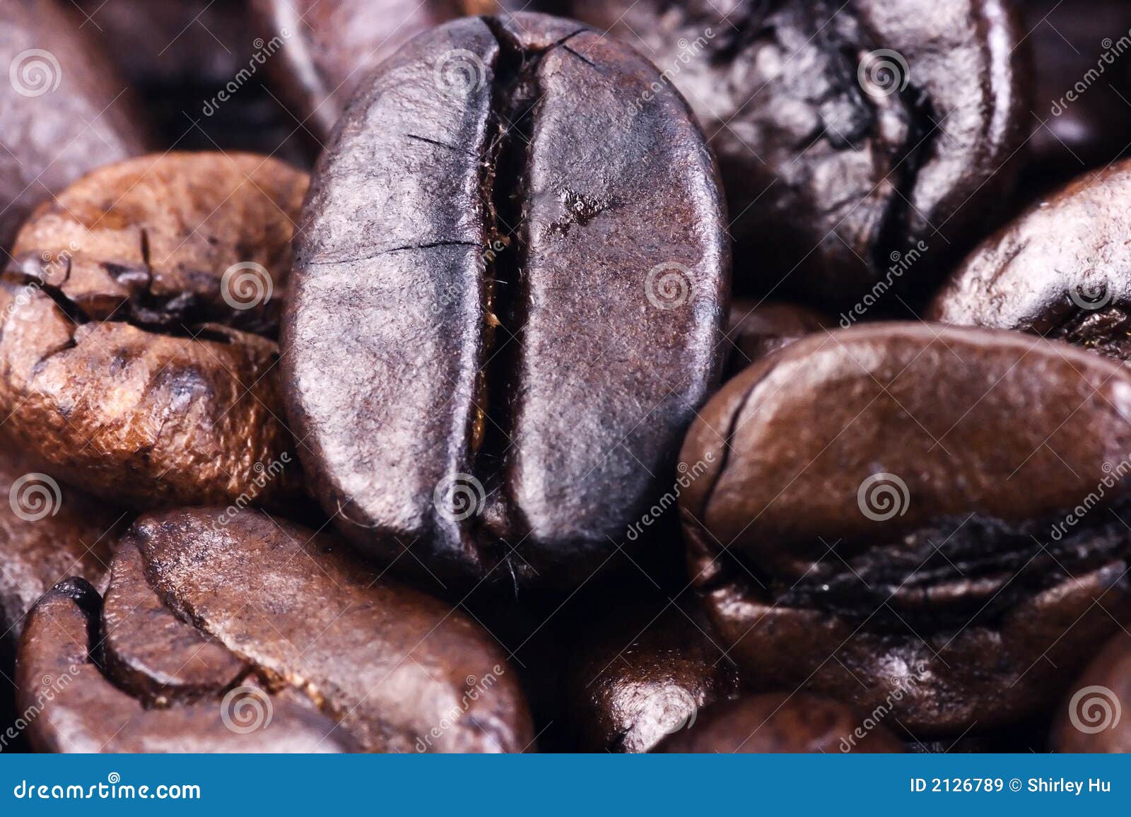 Kaffeebohne-Abschluss oben stockbild. Bild von ausgedrückt - 2126789