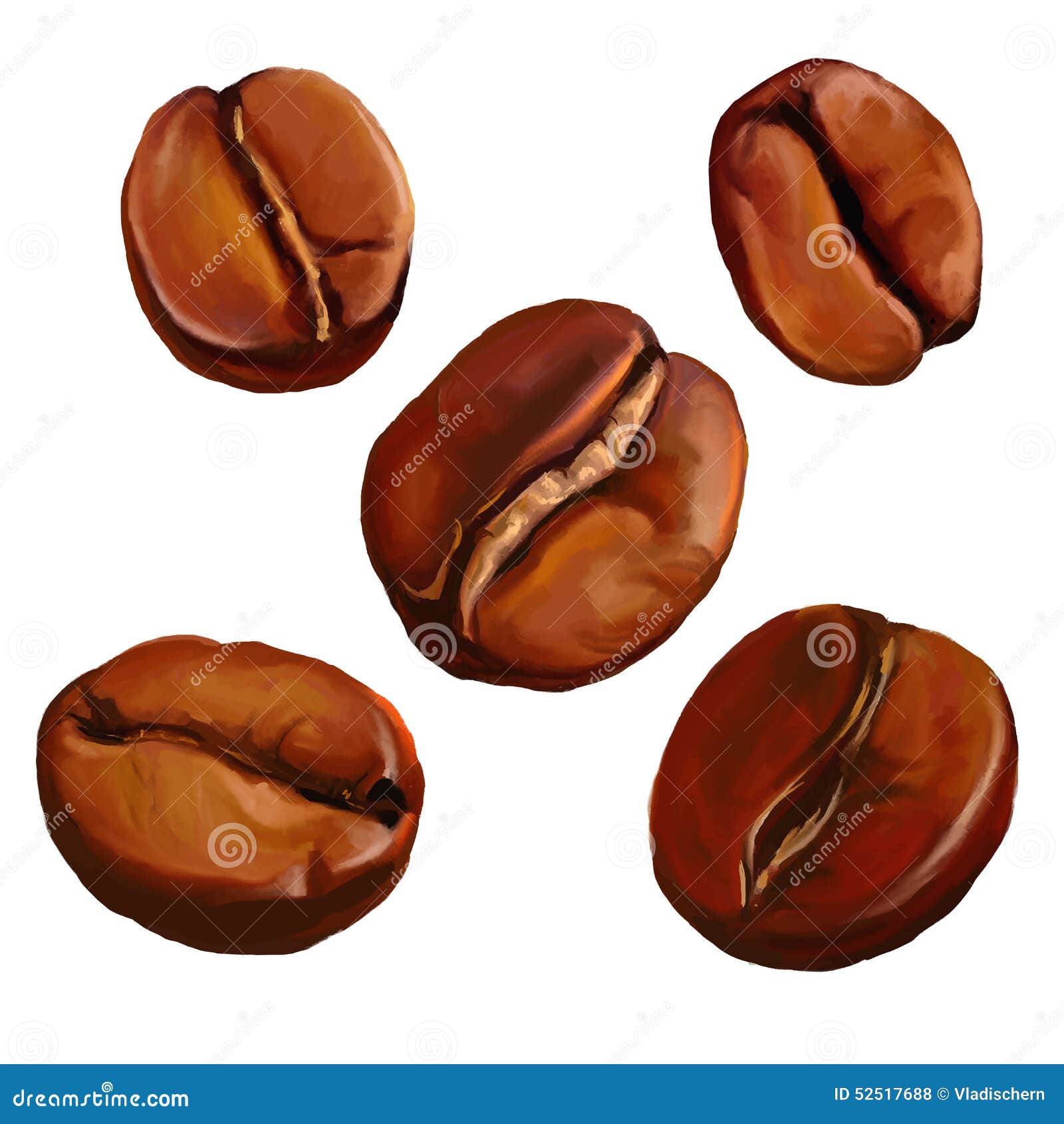 Kaffeebohne-Vektorillustration Gemalt Vektor Abbildung - Illustration ...