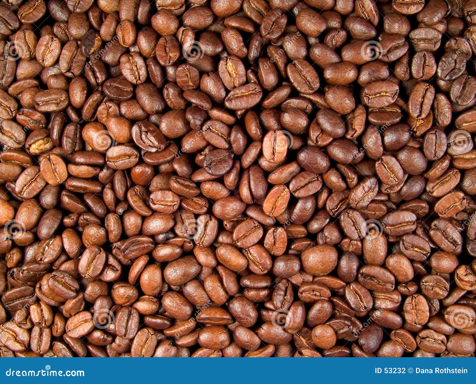 Kaffeebohnen Stockfotografie - Bild: 53232