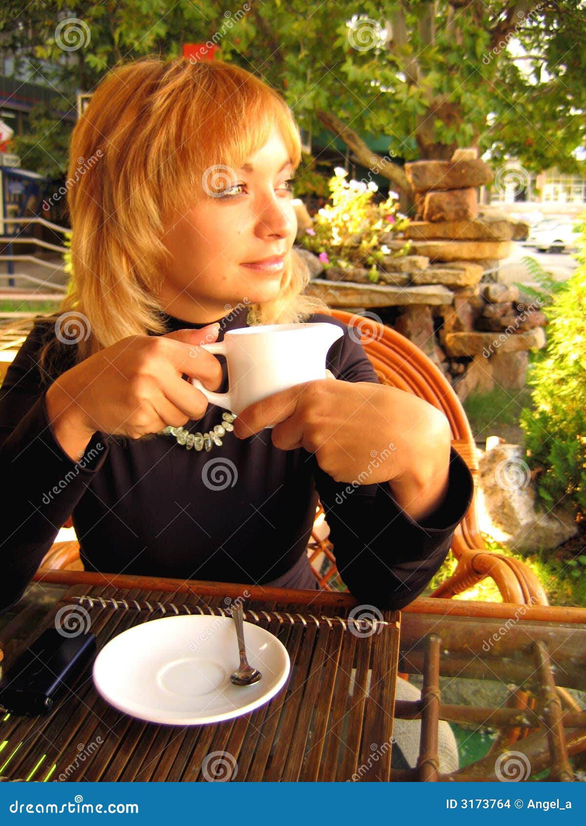 Kaffeepause stockfoto. Bild von denken, sitzen, dame, haar - 3173764